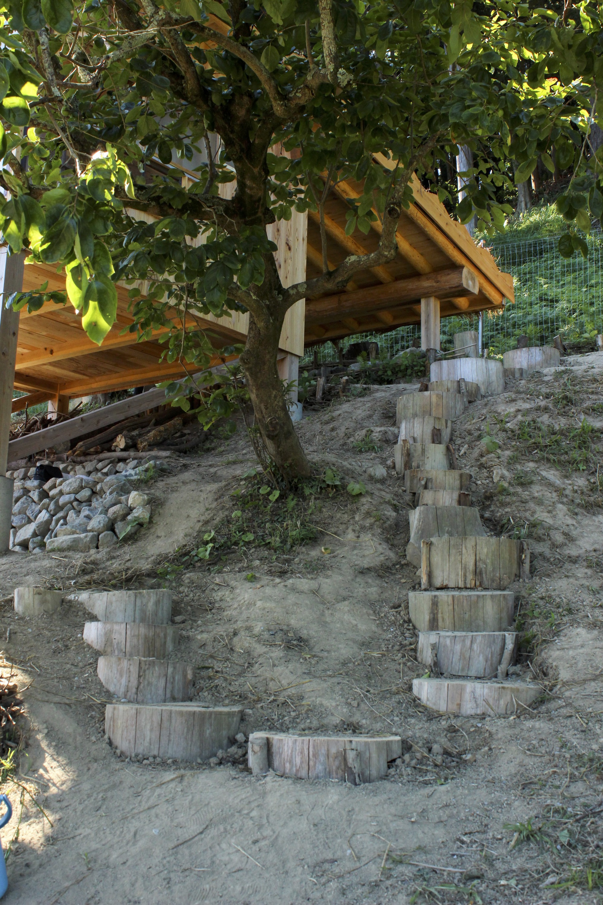 Gallery of Tiny House TEKITEKI-AN / 6lines studio - 17