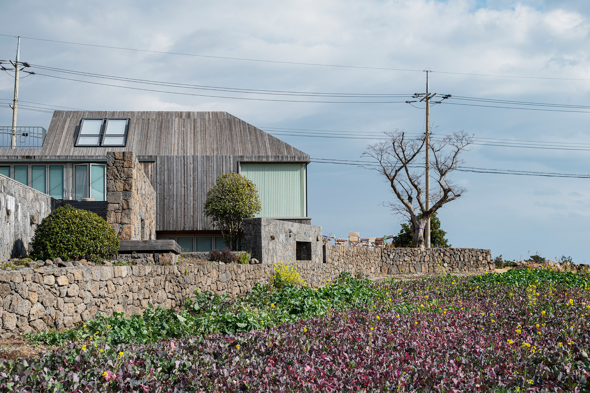 Galería de The Wind Hill Houses / Doojin Hwang Architects - 5