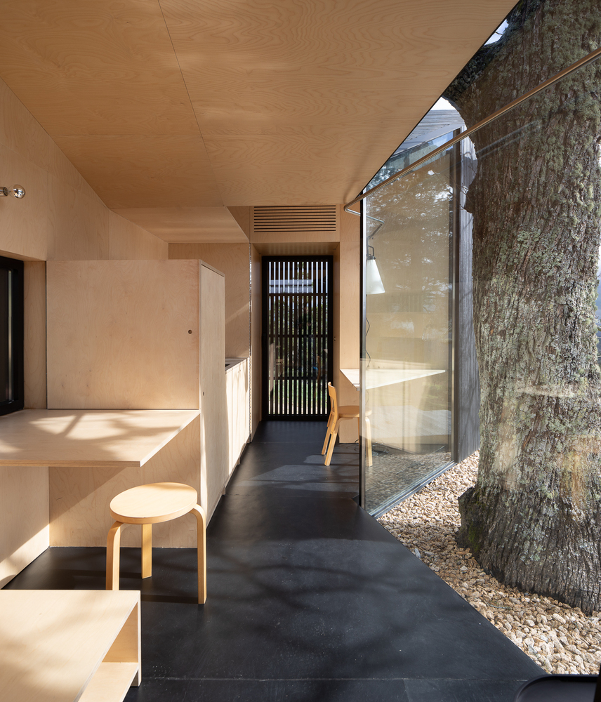 Gallery of Basic Strategies for Acoustic Comfort in Residential ...