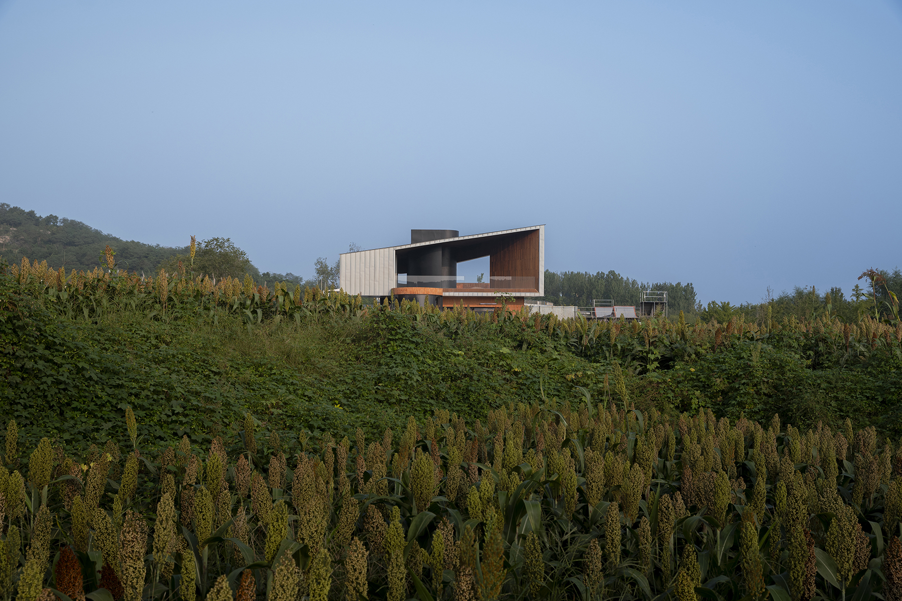 Gallery of Rear Window - BMX Racing Grandstand / hyperSity architects - 12