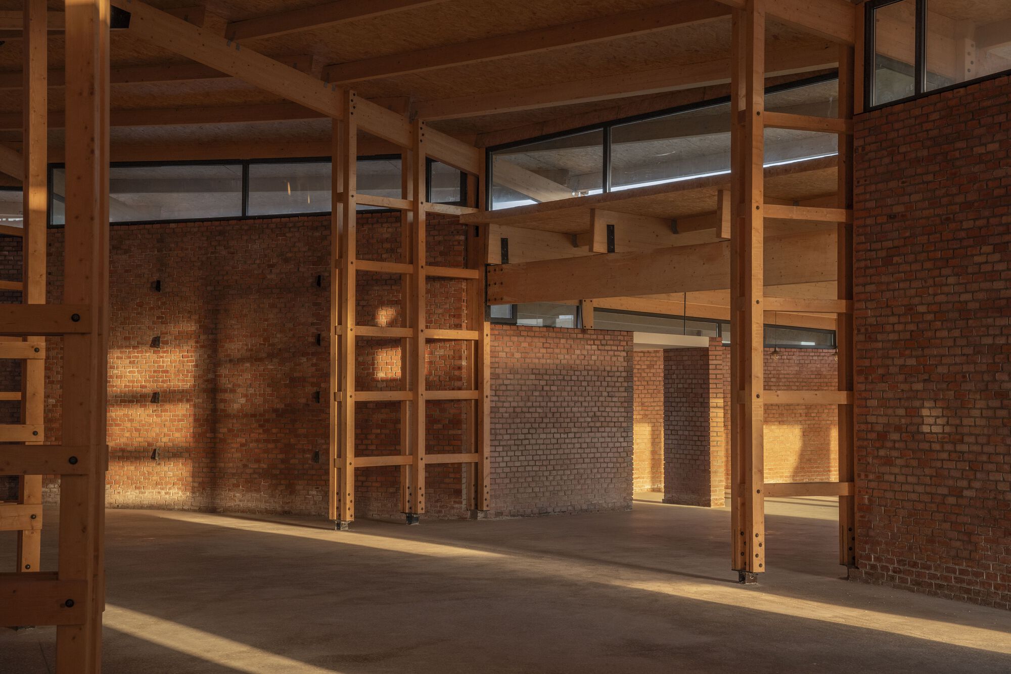 Gallery of Prepared Rehmannia Root Crafts Exhibition Hall / LUO studio - 17