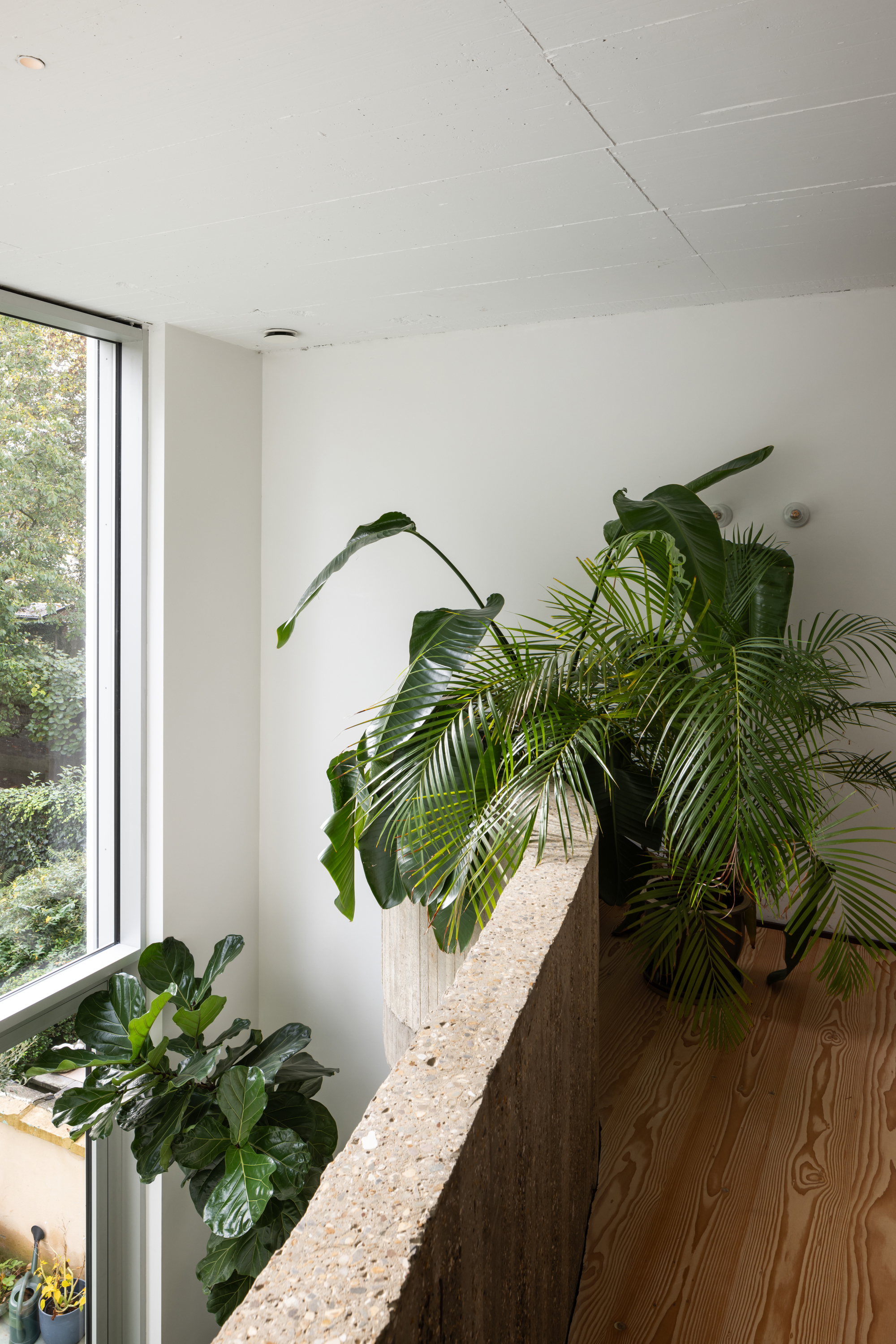 Gallery of WELL House / memo architectuur - 15