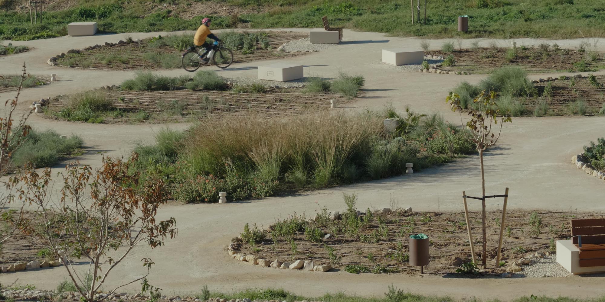 Galería de Explorando el nuevo Parque Jardines Mediterráneos de La Hoya ...
