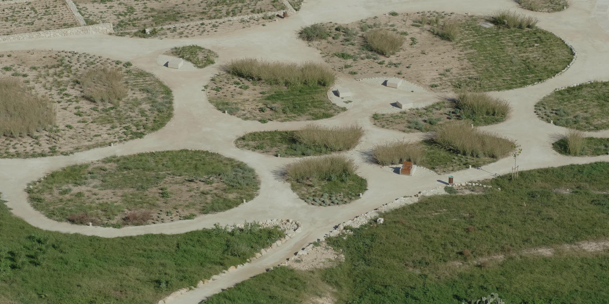 Galería de Explorando el nuevo Parque Jardines Mediterráneos de La Hoya ...
