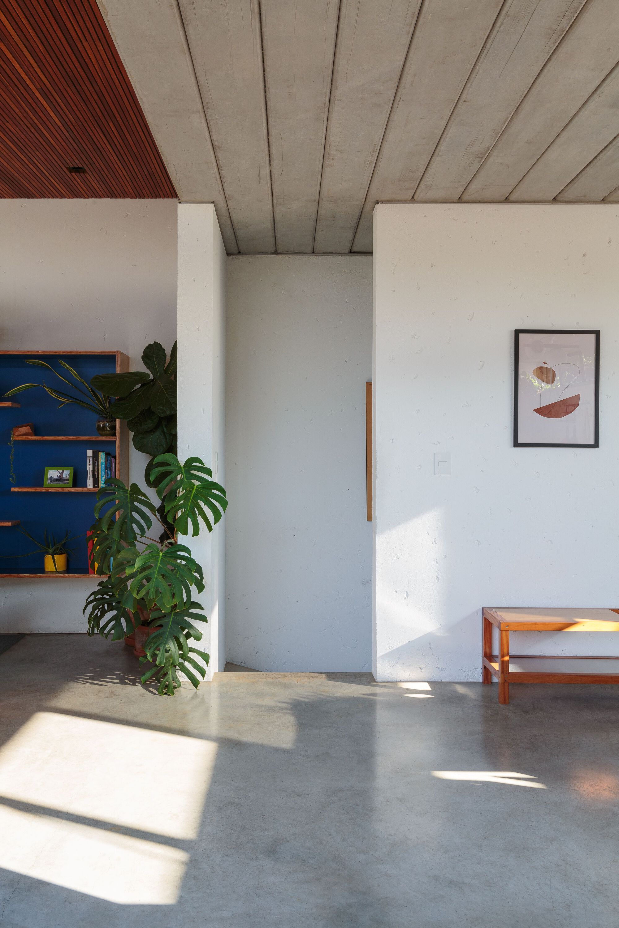 Galeria de Casa Cambuci / Cambuci Arquitetos - 21