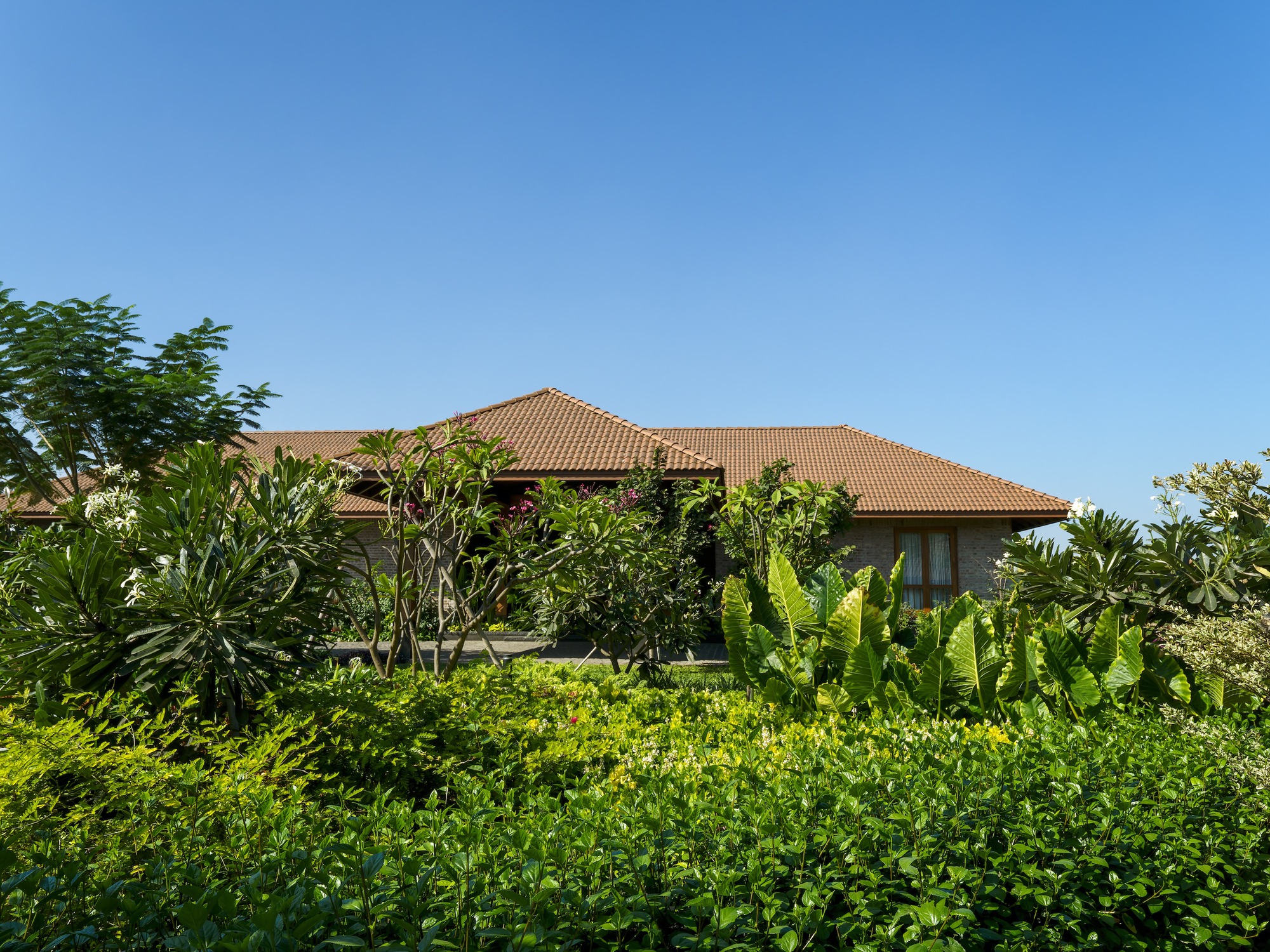 Gallery of The House with Two Courts / Studio mahajani + mahajani - 14