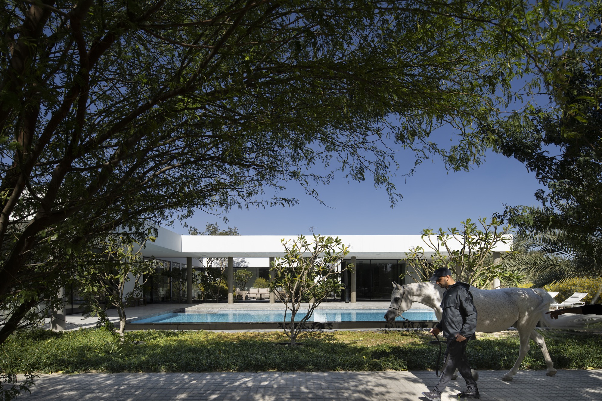 Gallery of Zen Villa / fikrr architects - 8