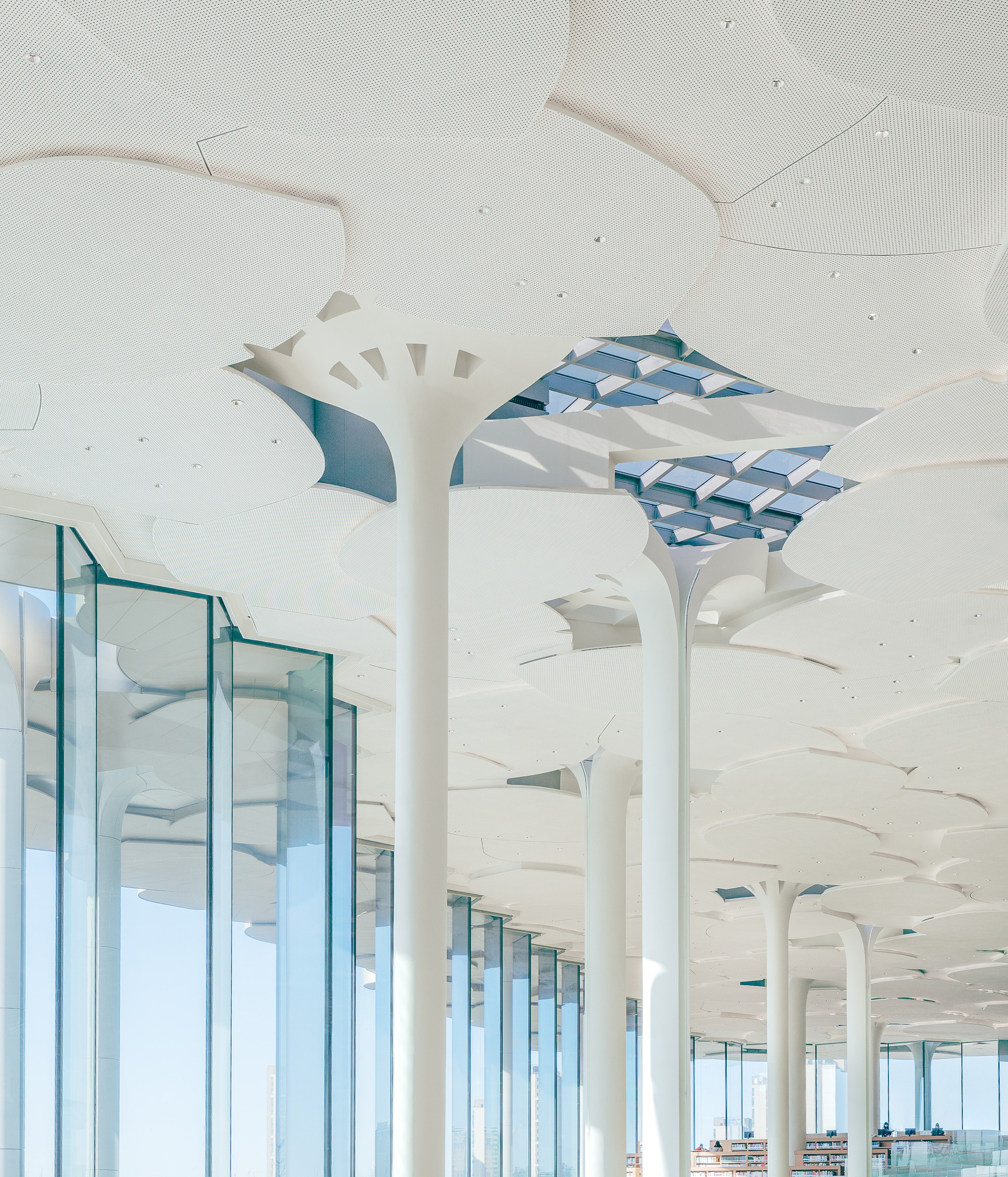 Galería de Snøhetta inaugura la biblioteca de Beijing, que alberga el ...