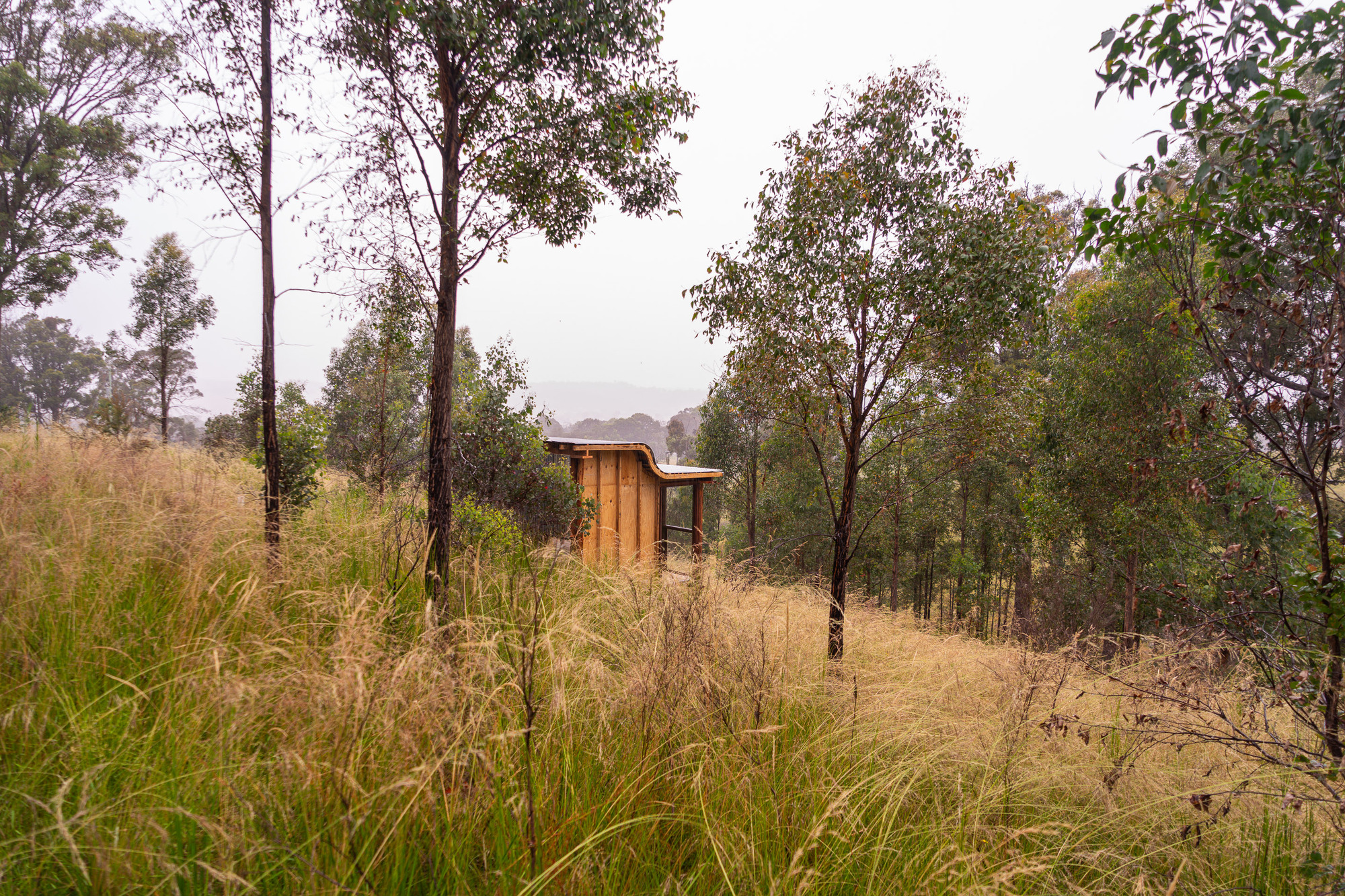 Gallery of A Place to Watch the Trees Grow / Green Studio - 8