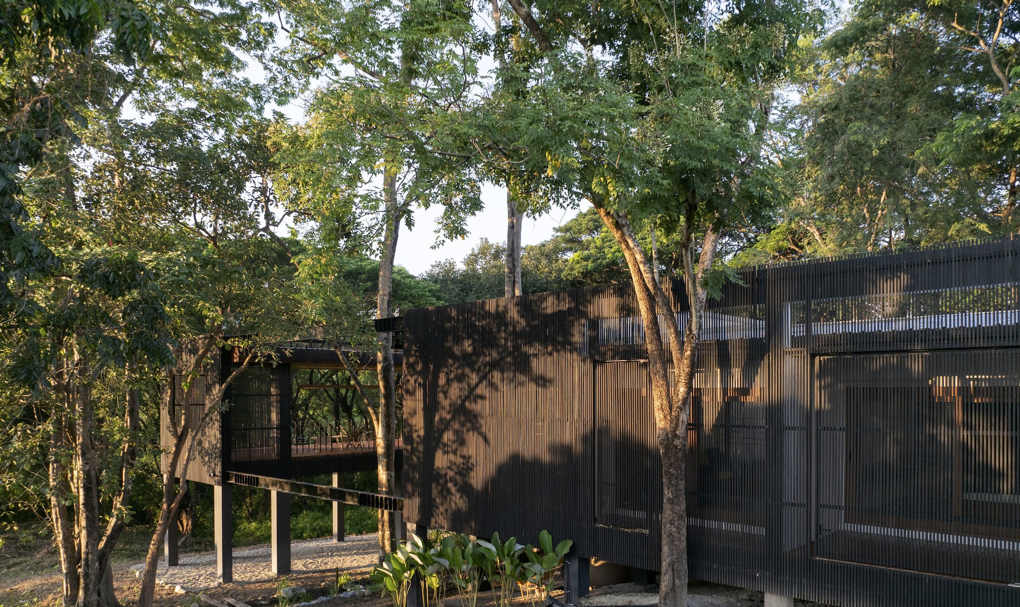 Gallery of Jomthong Raintree House / Sher Maker - 6