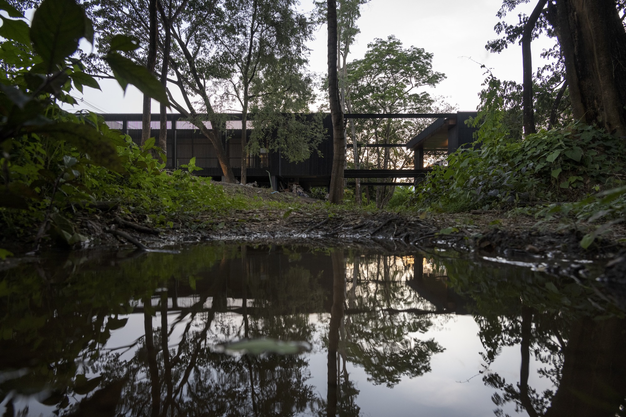 Gallery of Jomthong Raintree House / Sher Maker - 16