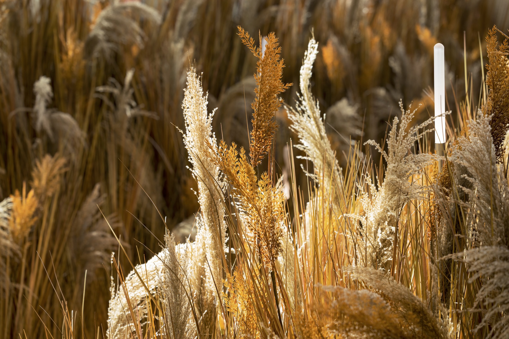 Gallery of The Oreum Restaurant / SPACE DOT + Dajoo Architect - 10
