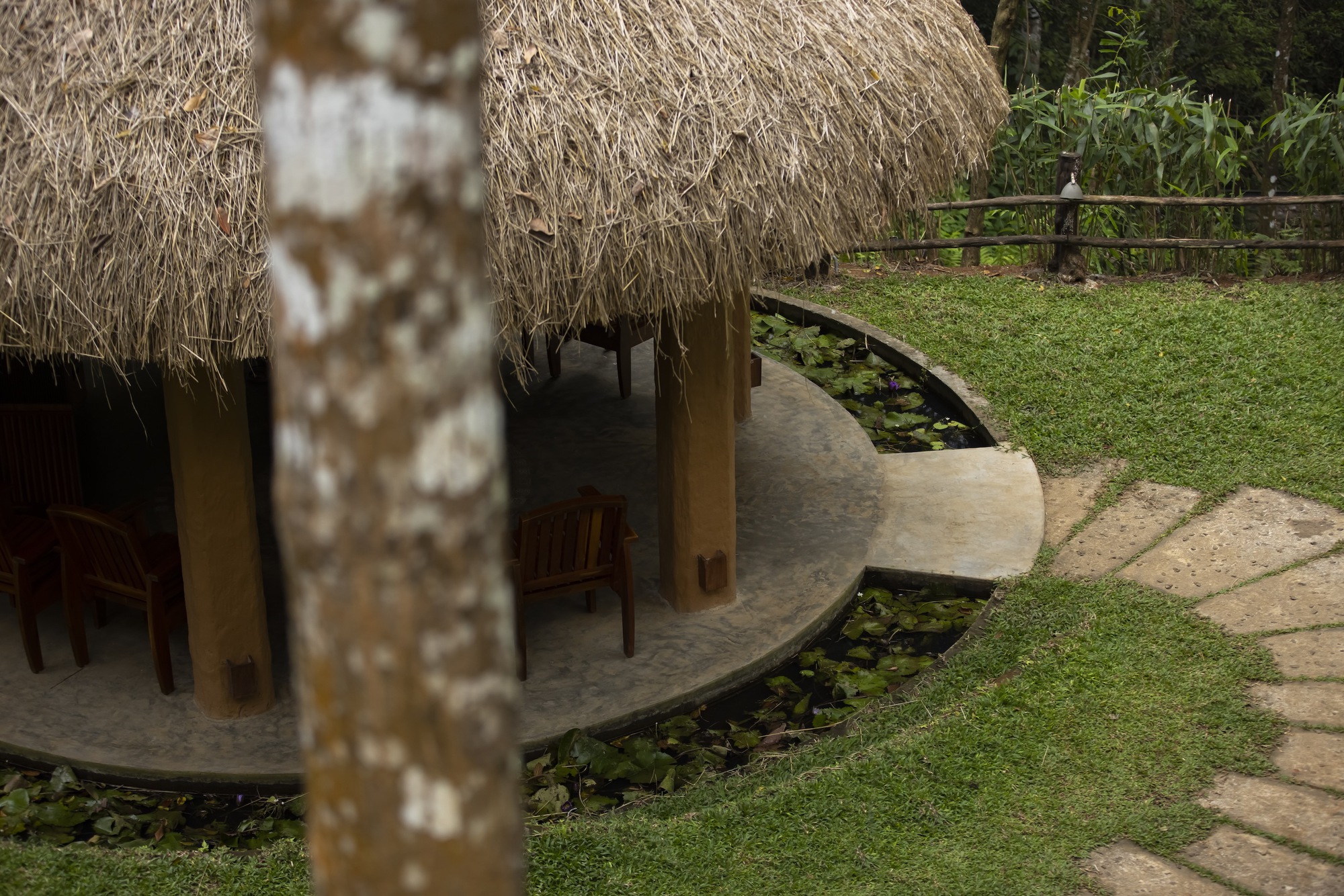 Gallery of Chembarathi Boutique Resort / Satkriya - 9