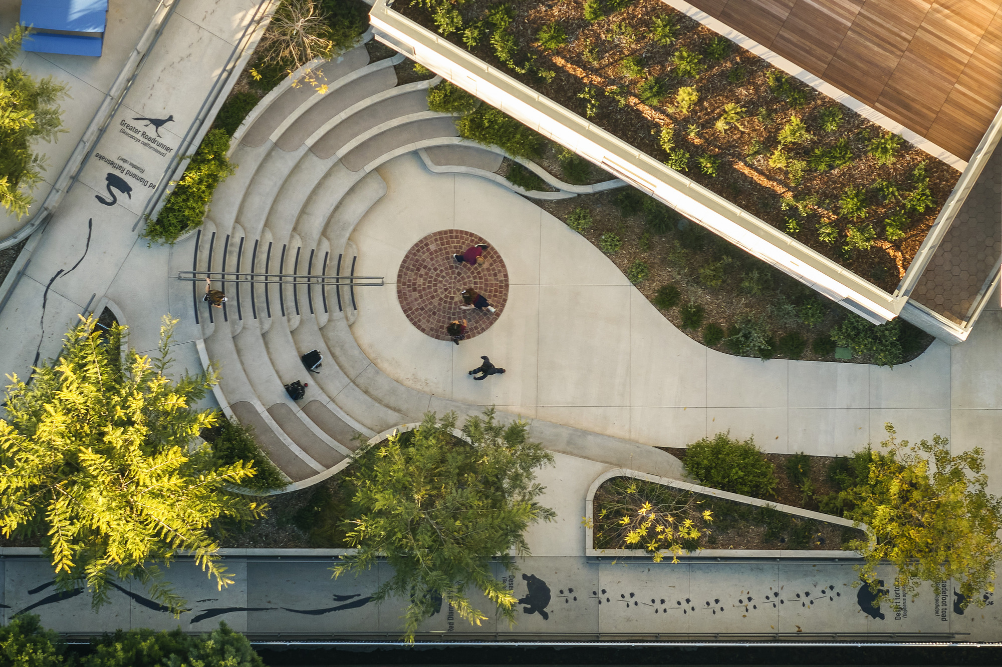 Gallery of Lower School Campus of Westmark School / NBBJ - 2