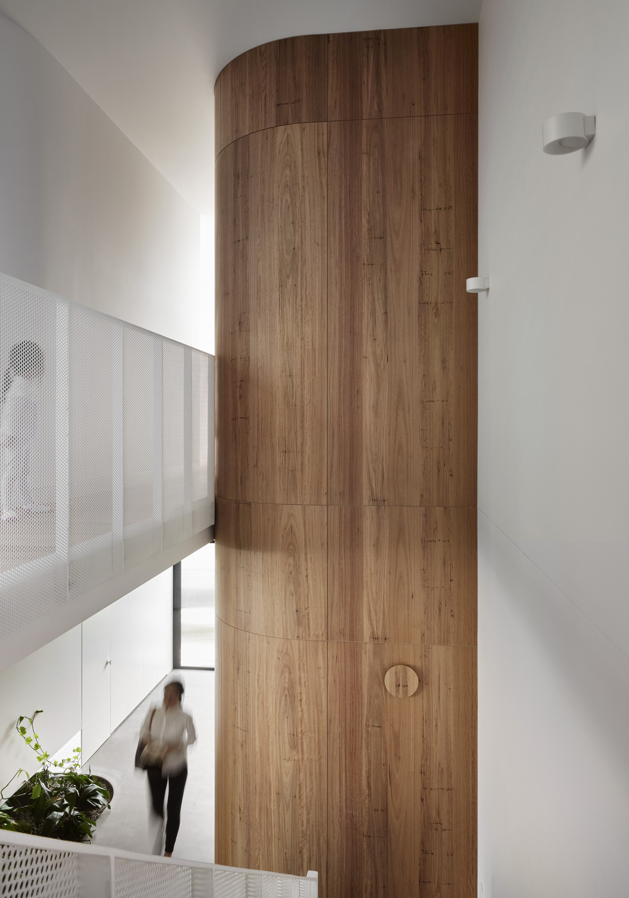 Gallery of Lang 靚 House / Austin Maynard Architects - 20