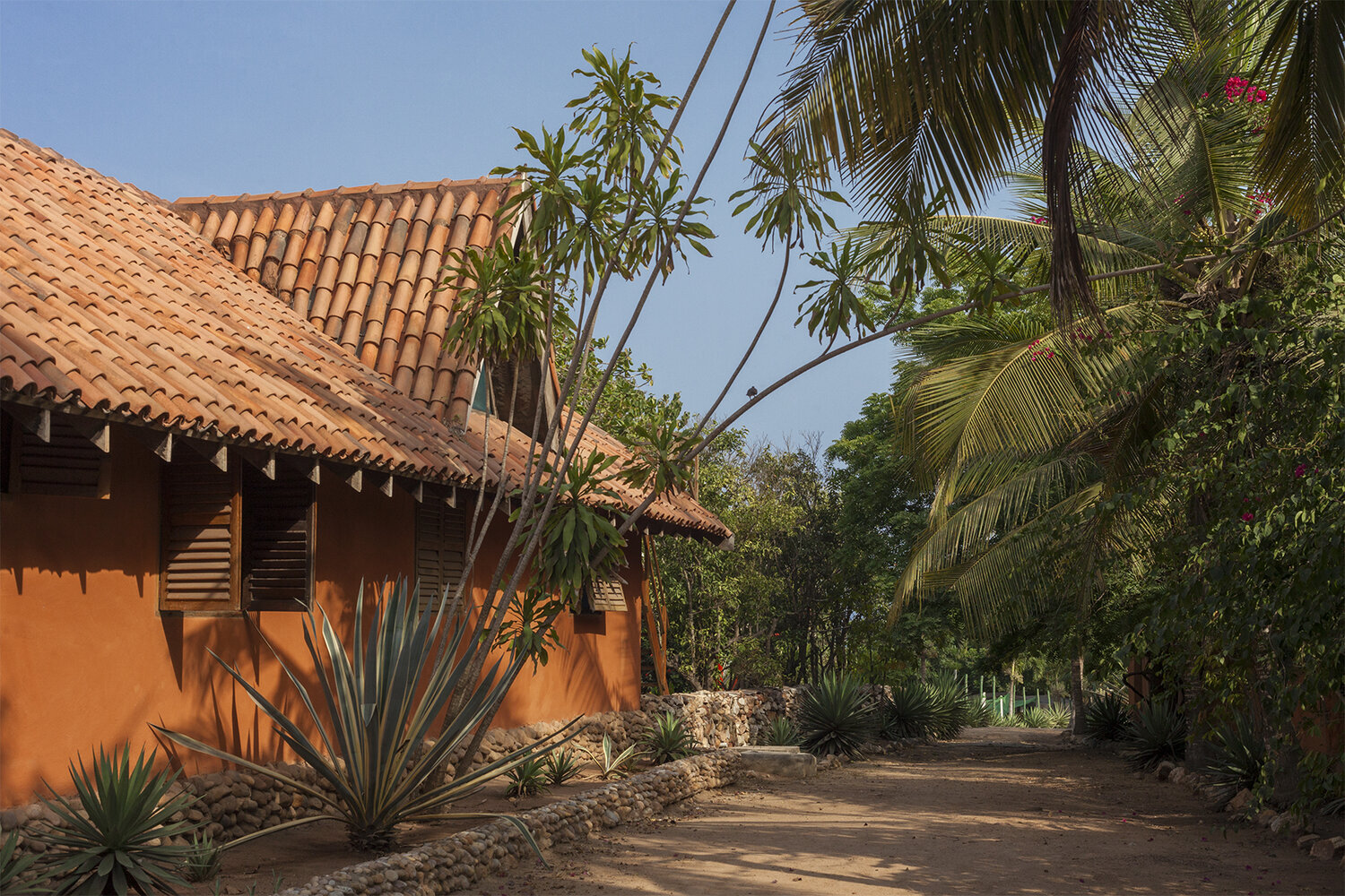 Gallery of Alero Olympio: A Legacy of Ecological Architecture and ...
