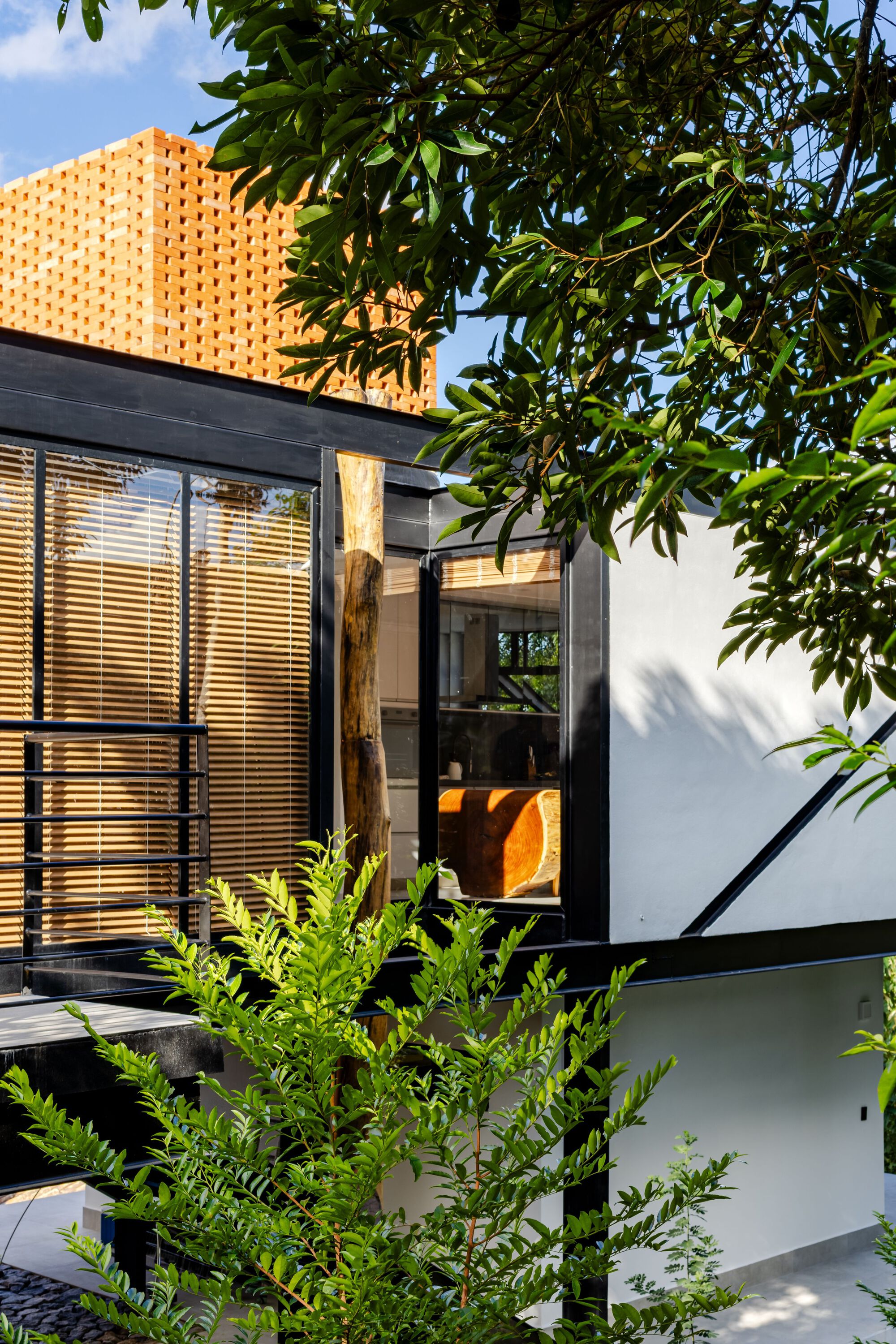 Gallery of Bosque House / Nó Arquitetura - 12