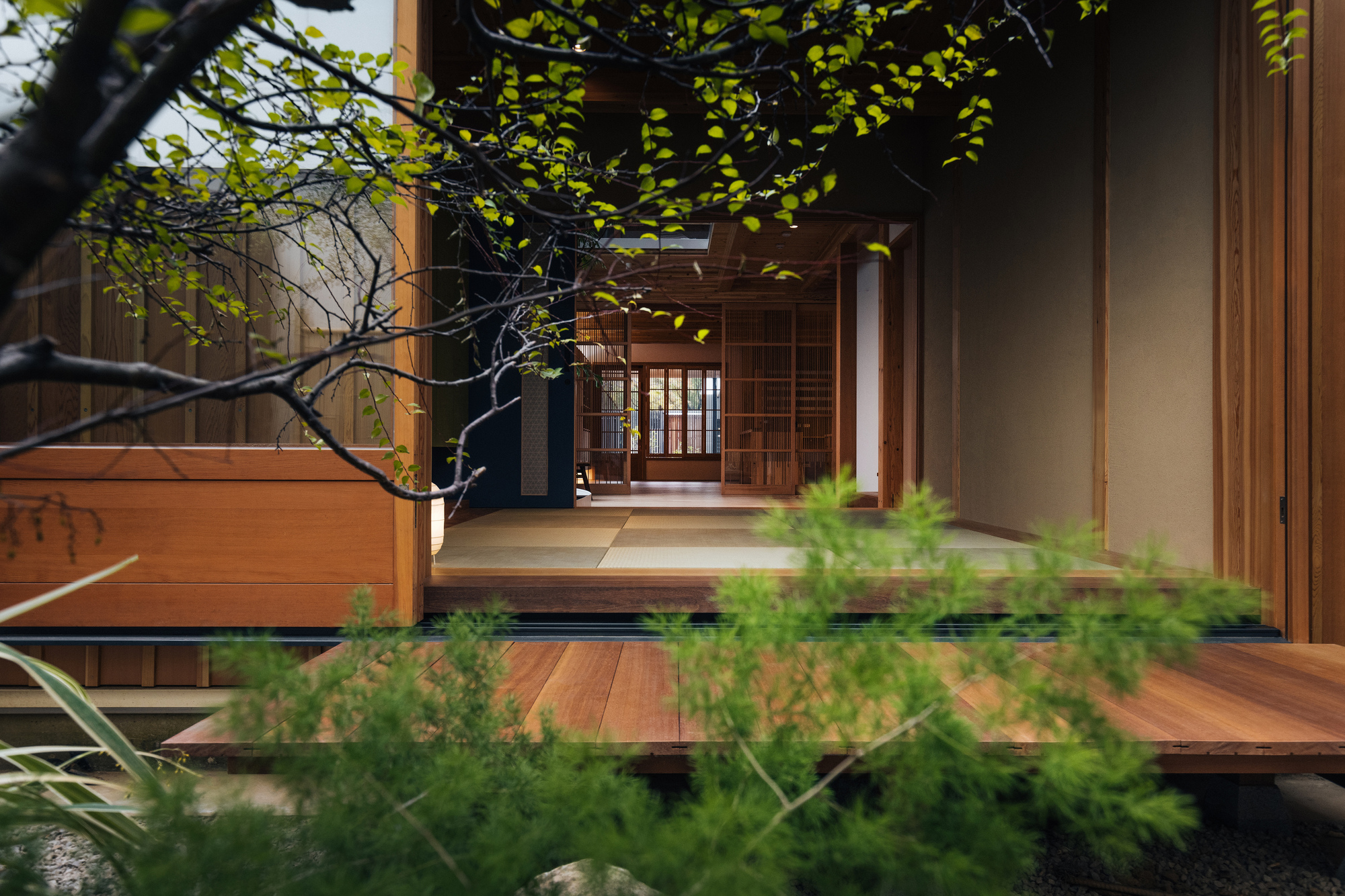 Gallery of The House in Between Small and Large / Nameless Tree Design - 20