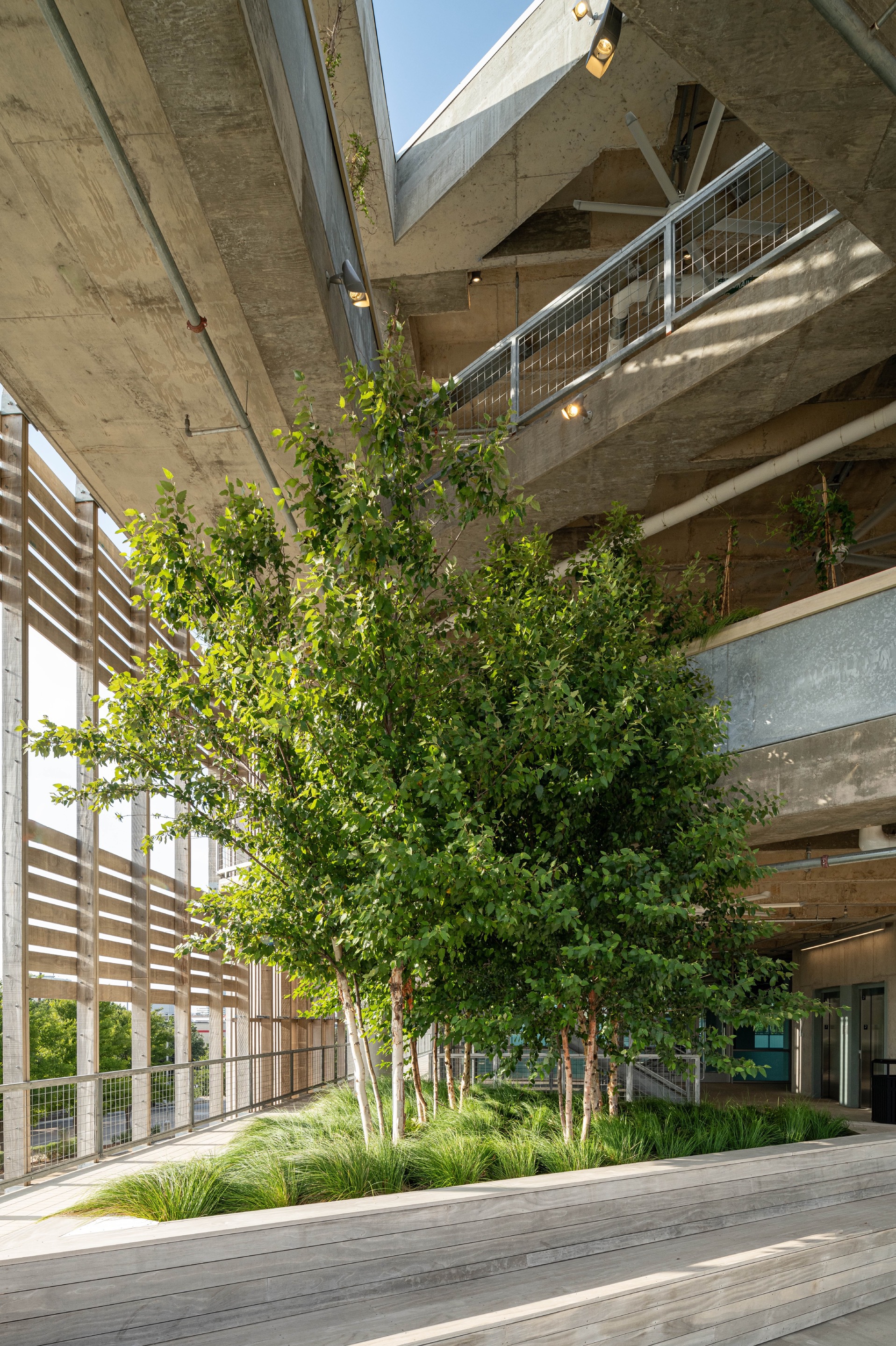 Gallery of Shady Brook Office Building / Cunningham Architects - 12