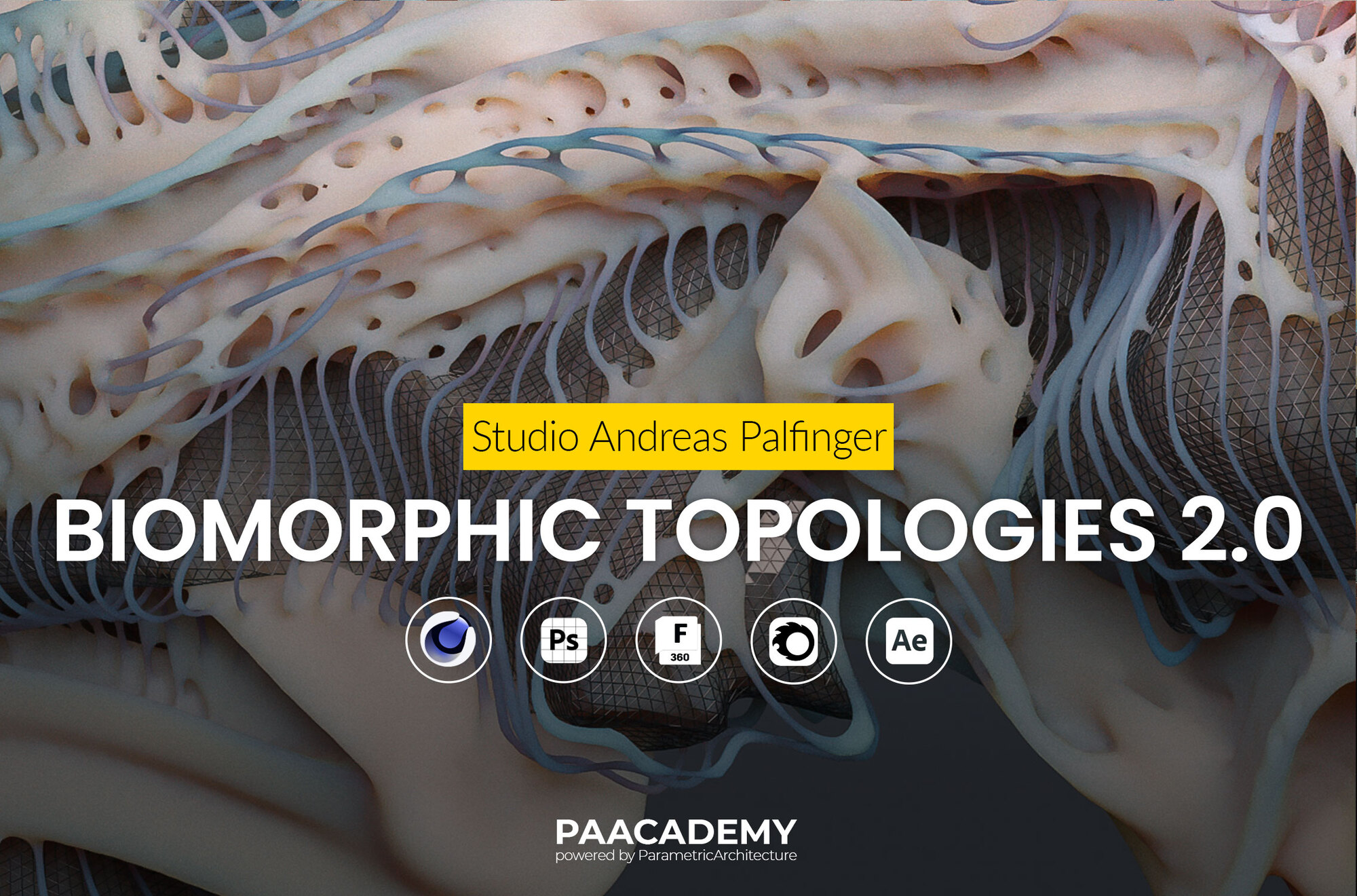 Gallery of Parametric Architecture May Workshops - 2