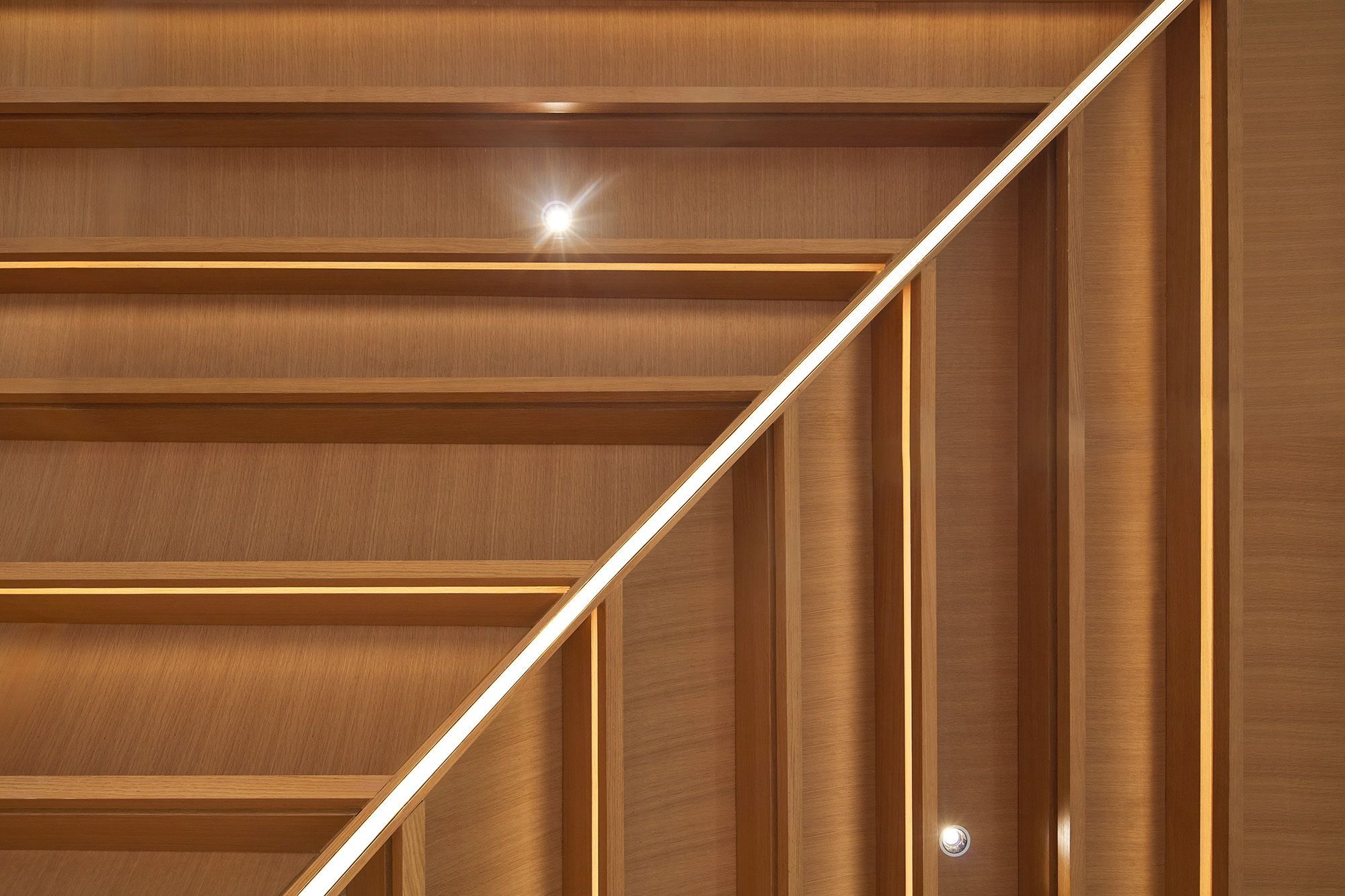 Gallery of The Horizon Library / Protoscapes - 18