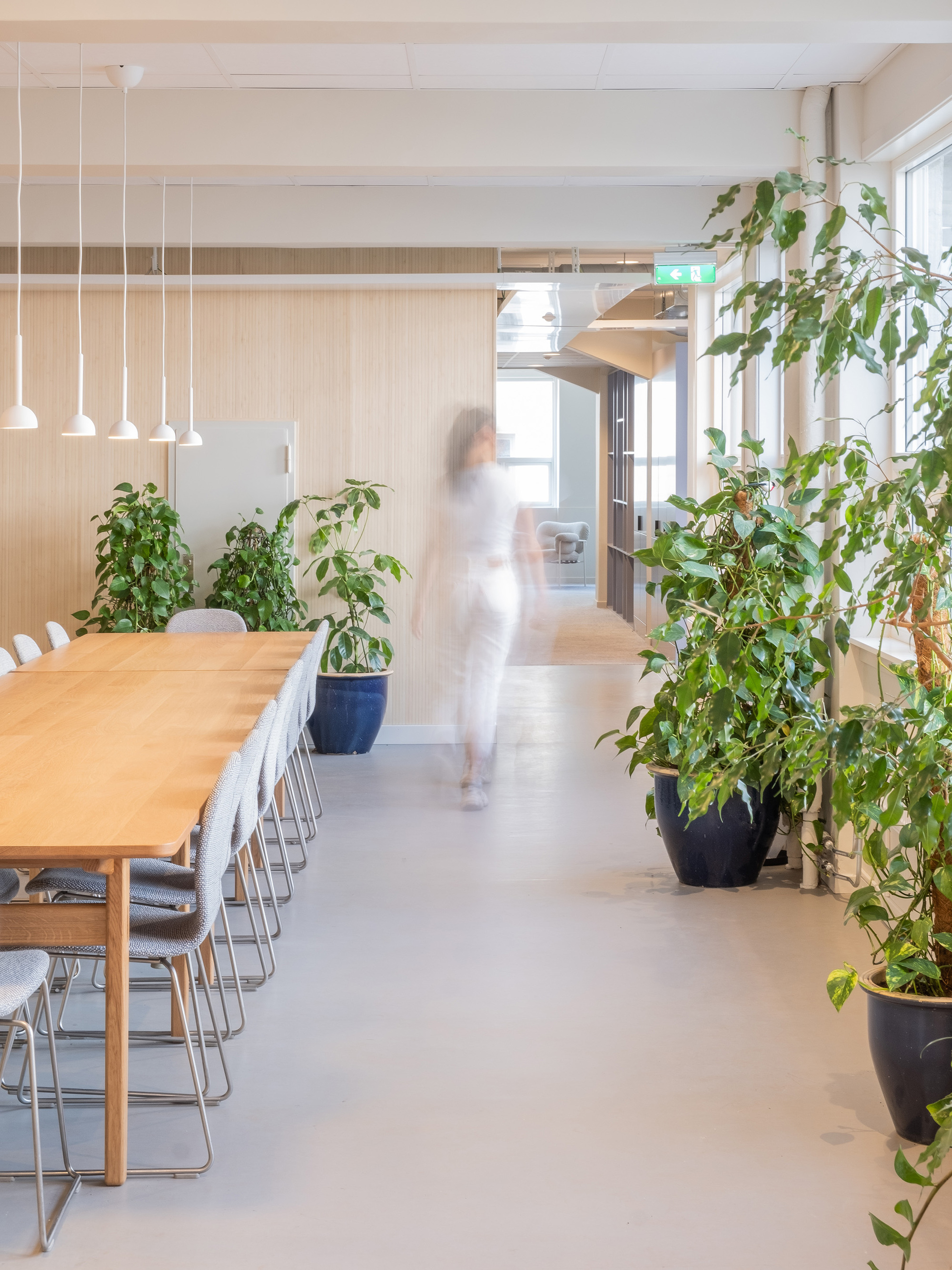 Gallery of Cinemateket / SAAHA AS - 15