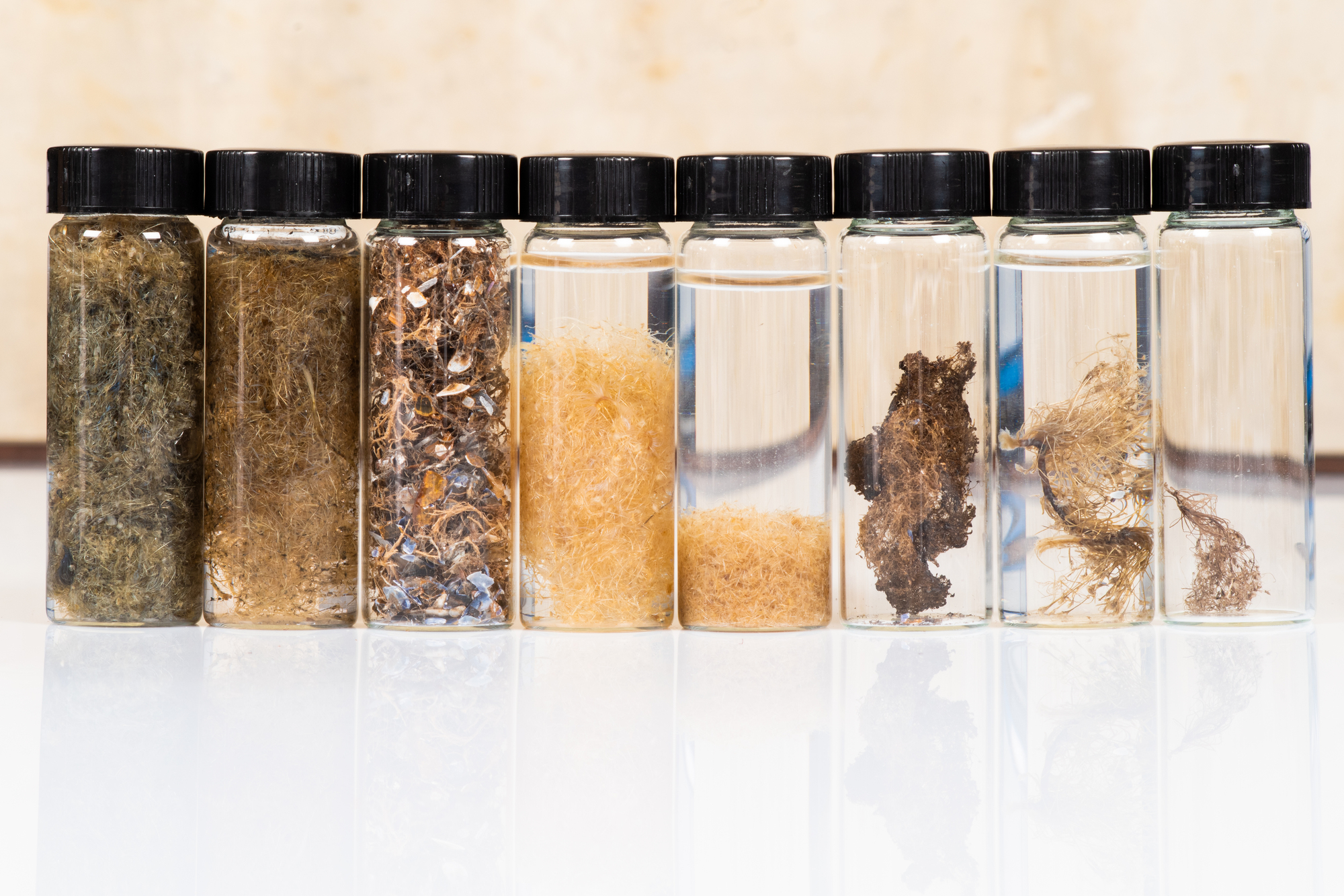 Gallery of Making the Case for Plastic-Free Architecture: Innovative ...