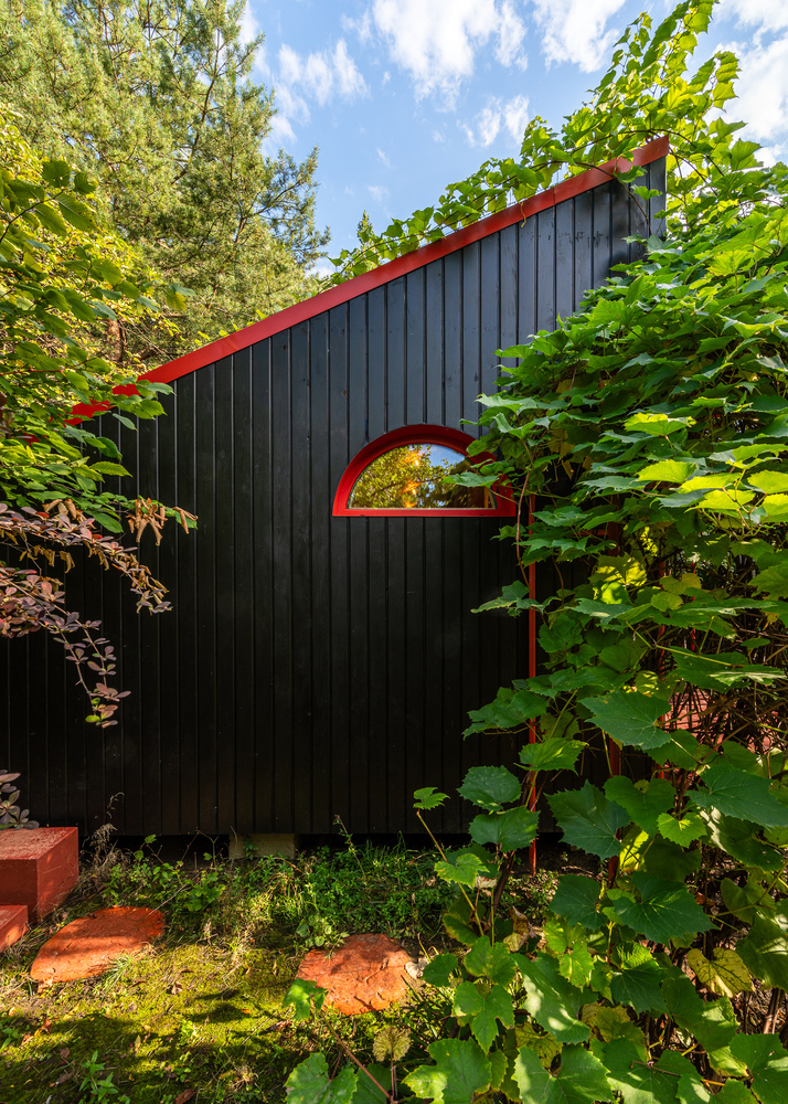 Gallery of House of Color Downtown Oasis / NOKE Architects - 5