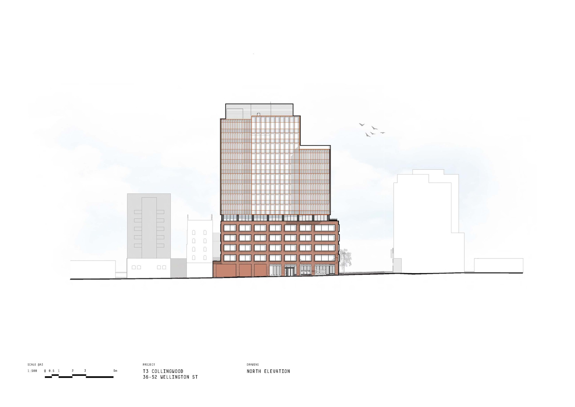 Gallery of T3 Collingwood Office Building / Jackson Clements Burrows ...