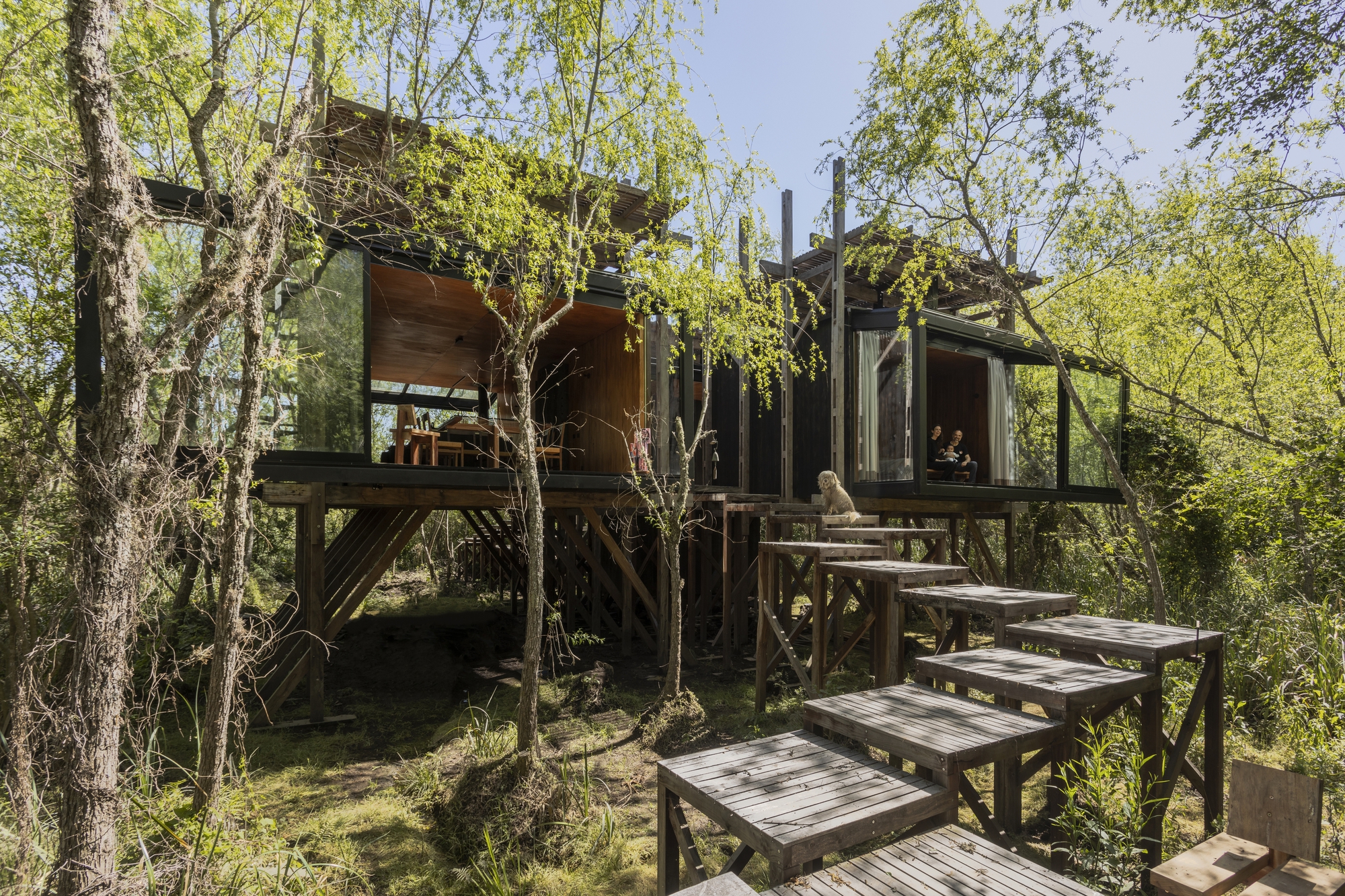 Gallery of Dragon-fly House / Barbara Berson + Horacio Sardin - 22