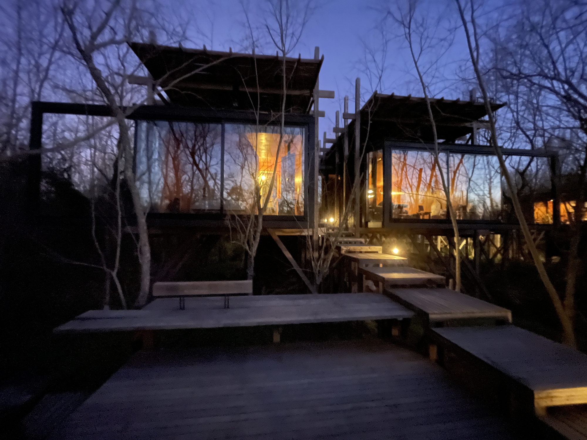 Gallery of Dragon-fly House / Barbara Berson + Horacio Sardin - 20