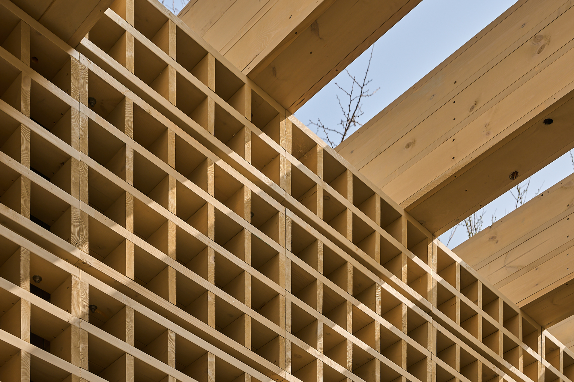 Gallery of Ecological Matrix, Breathing Net Pavilion / Soltozibin ...