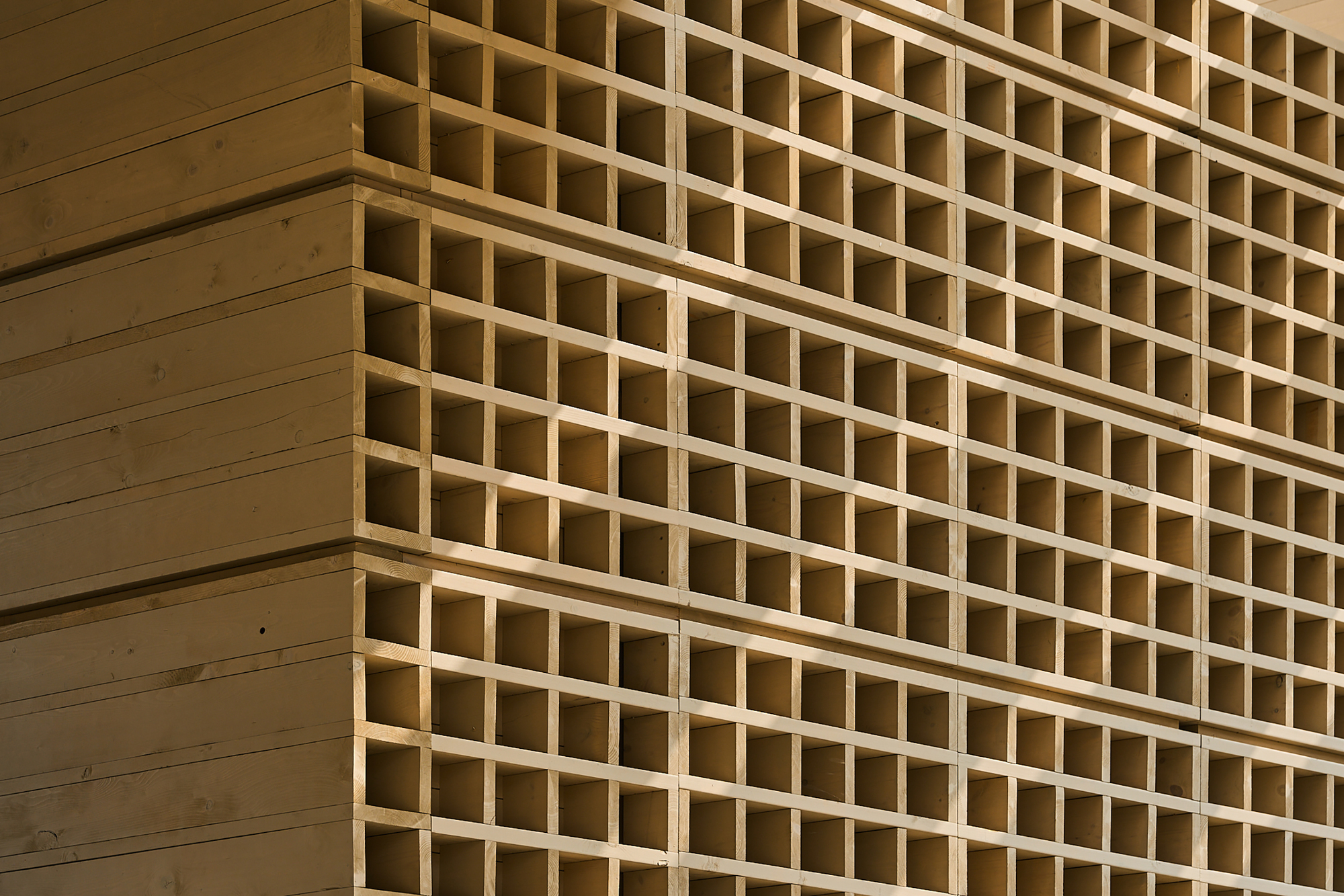 Gallery of Ecological Matrix, Breathing Net Pavilion / Soltozibin ...