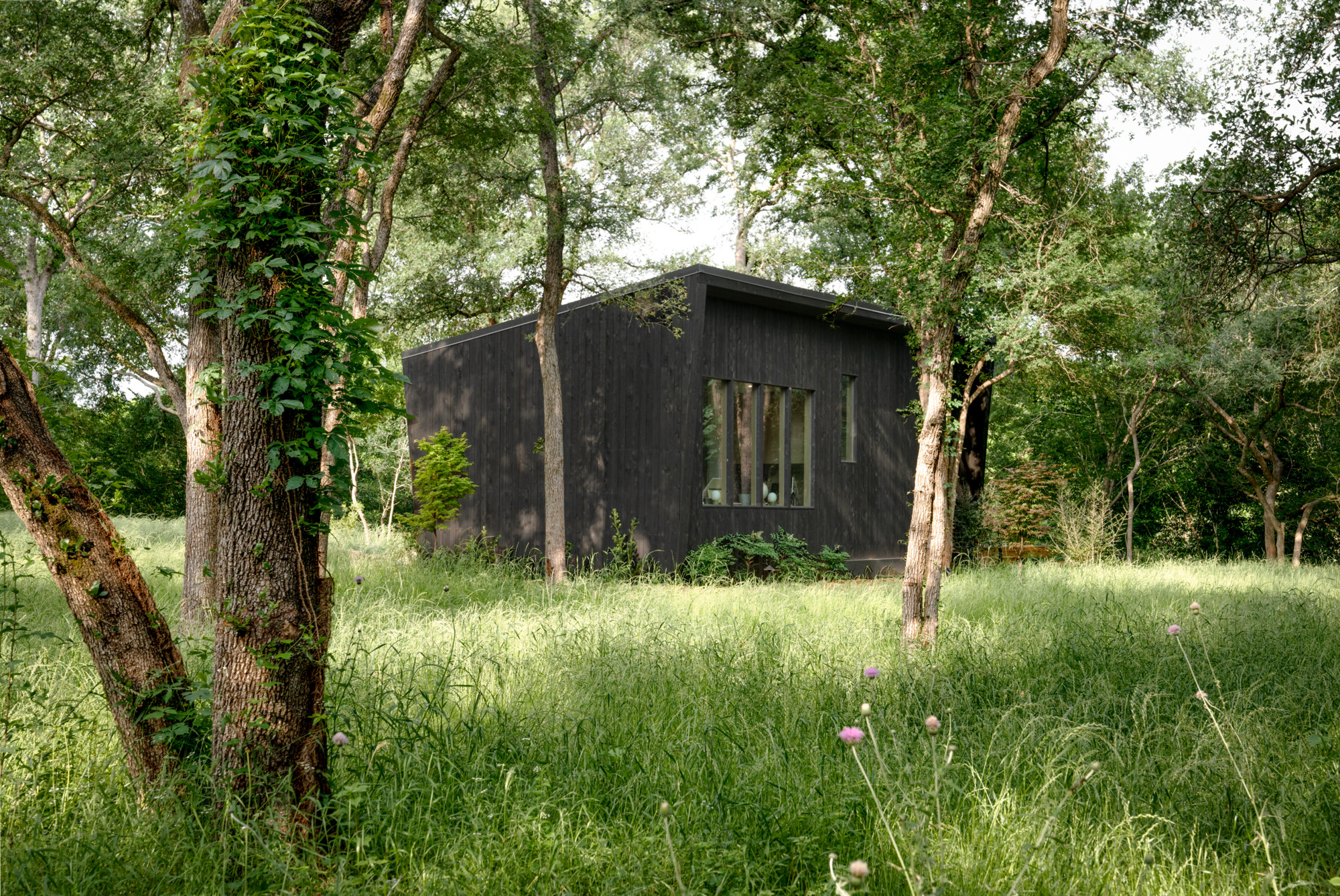 Gallery of The Nook / Isaac French - 7