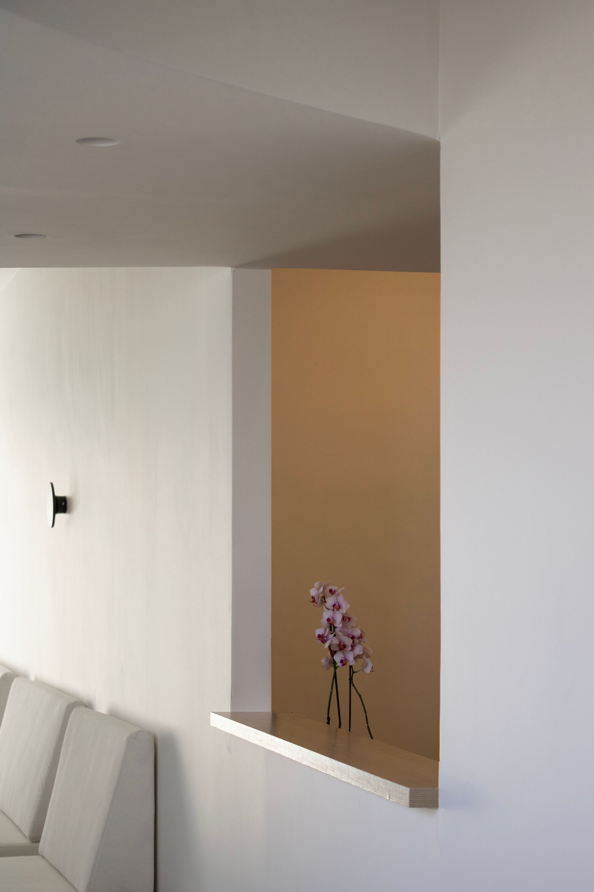 Galeria de Clinica Itacolomi / Estúdio Kaique Xavier + Fred Borges - 7