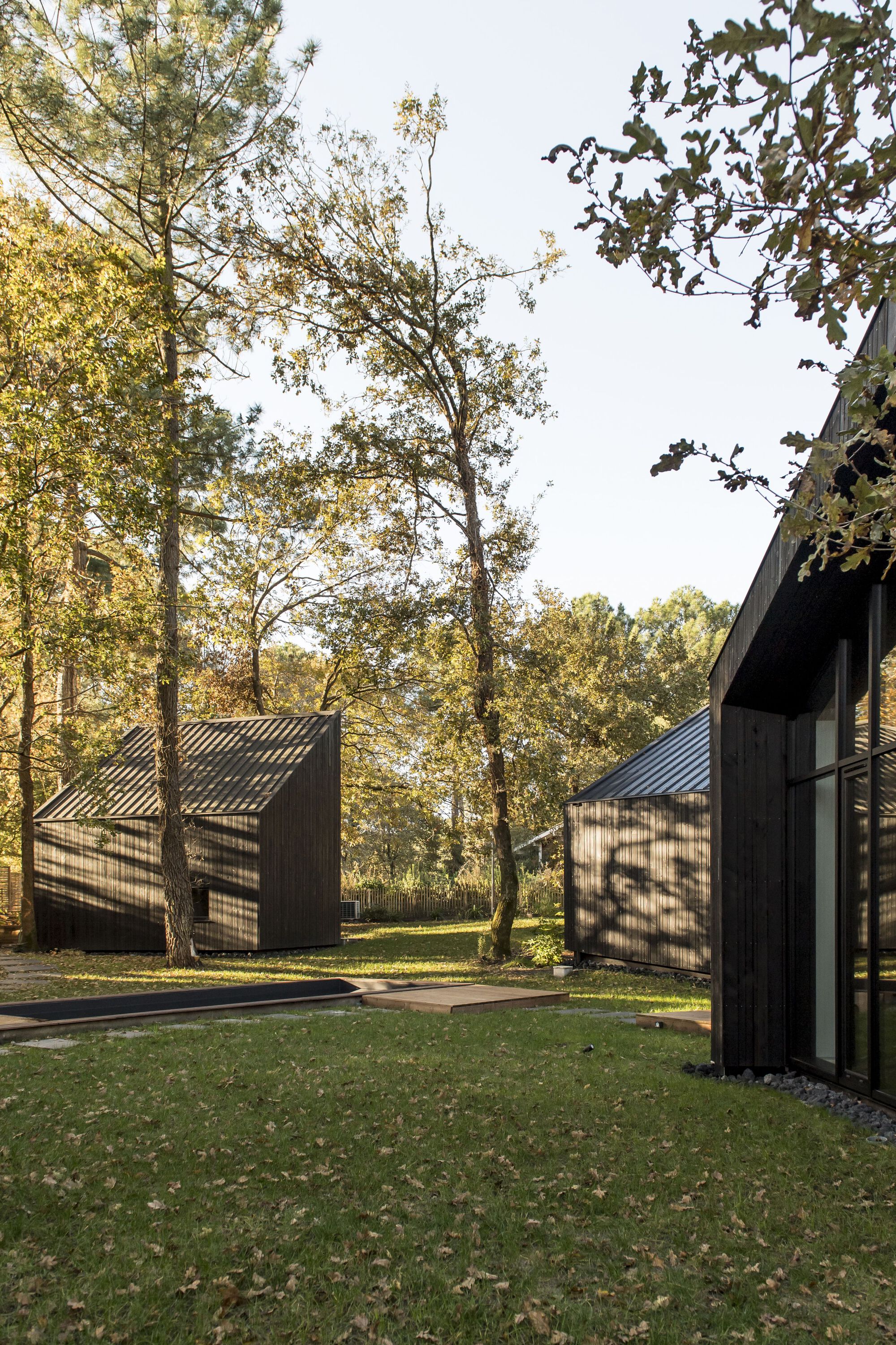 Gallery of House in the Trees / OECO Architectes - 7