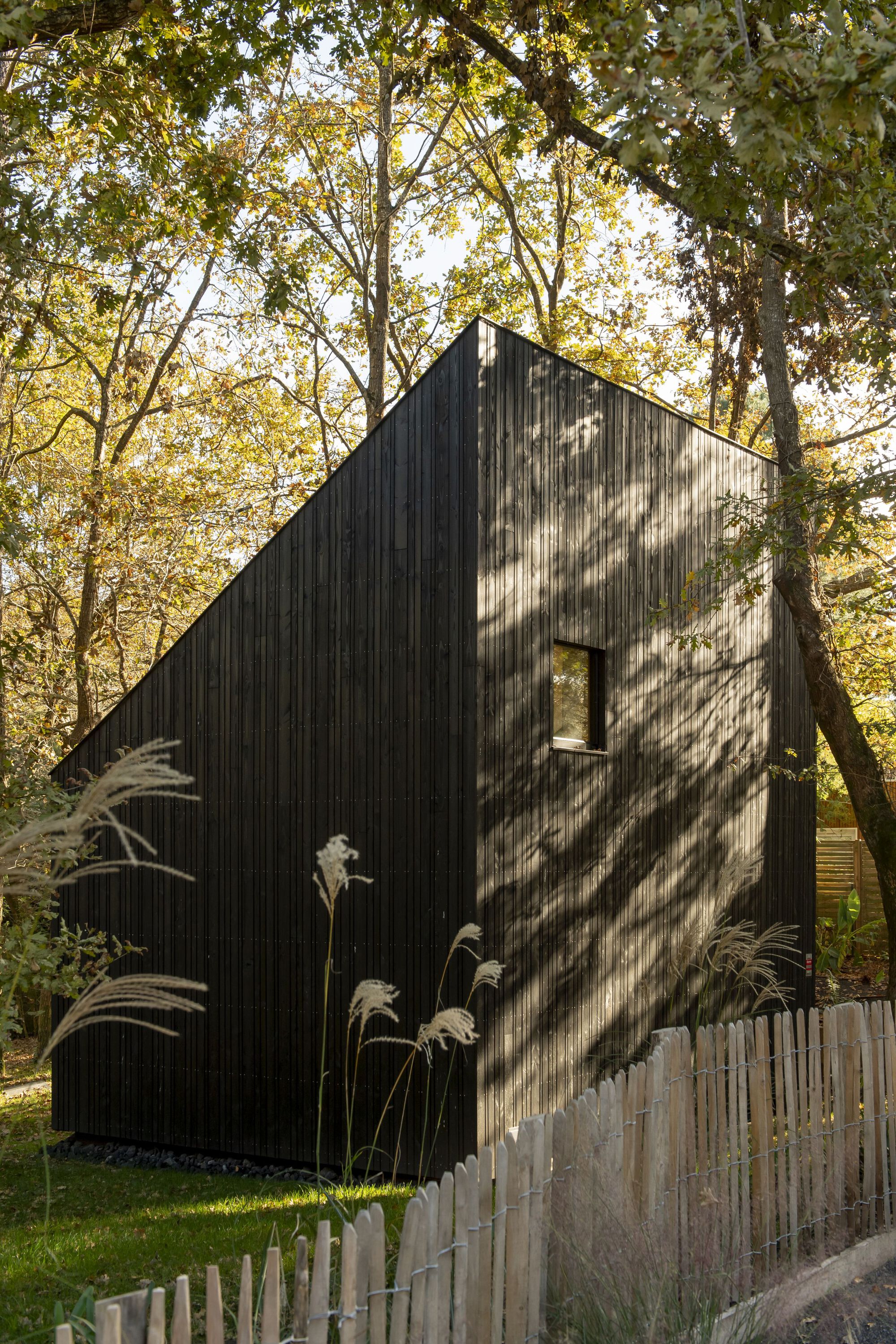 Gallery of House in the Trees / OECO Architectes - 5