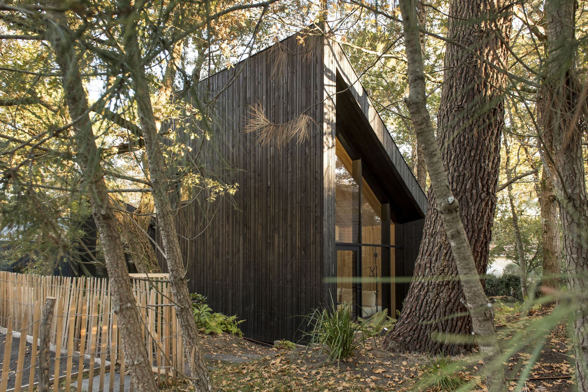 Gallery of House in the Trees / OECO Architectes - 11