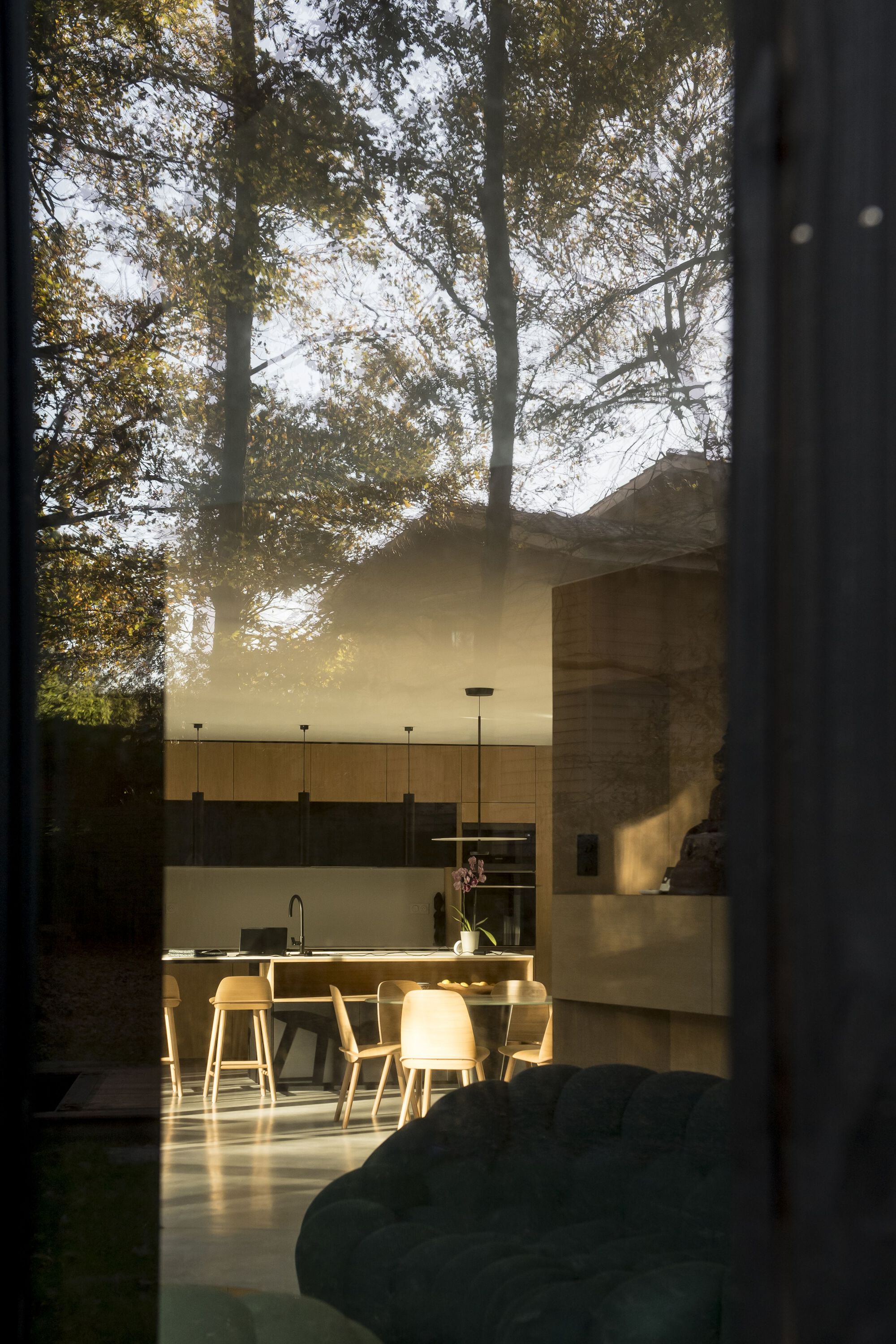 Gallery of House in the Trees / OECO Architectes - 22