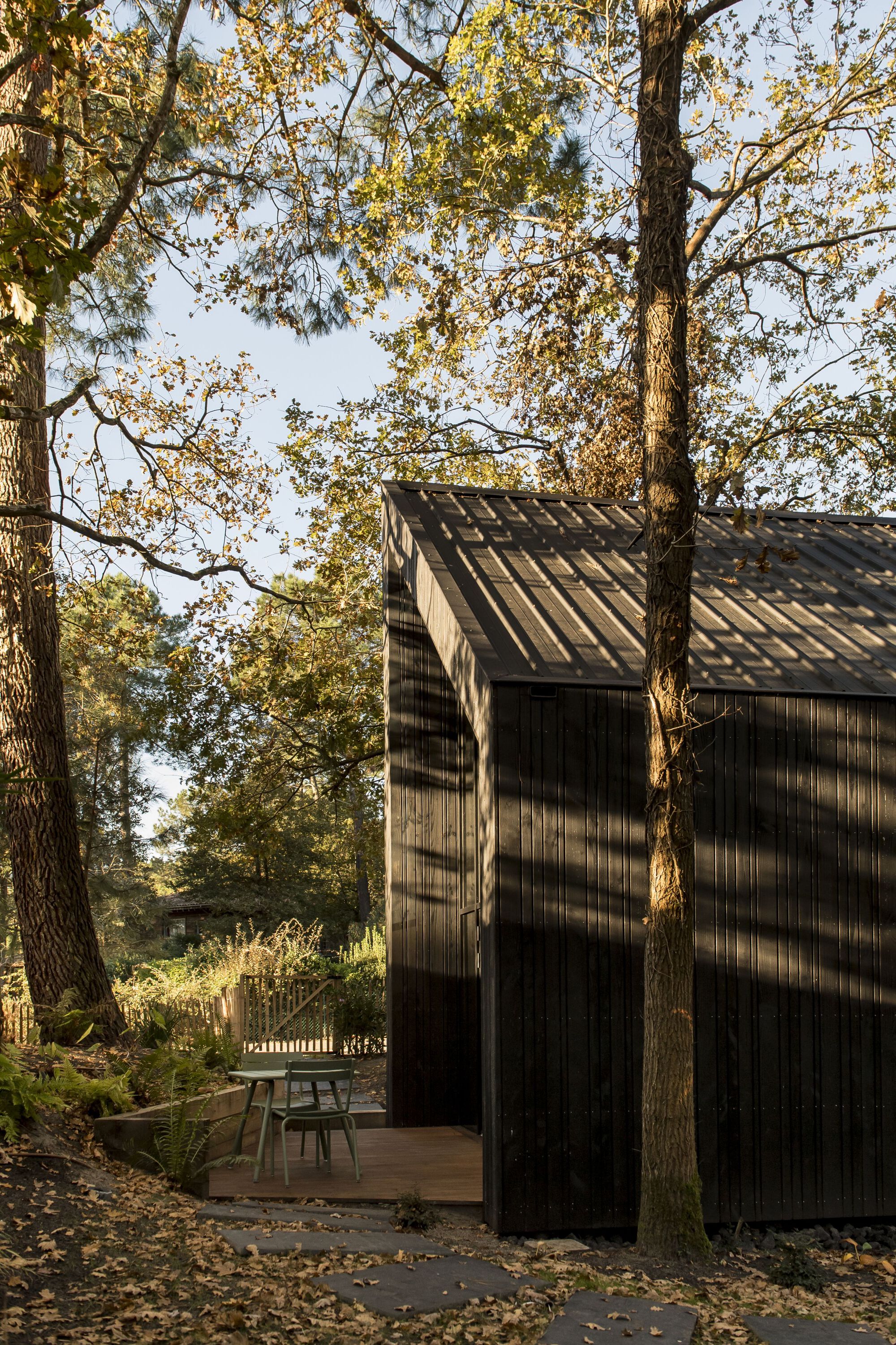 Gallery of House in the Trees / OECO Architectes - 10