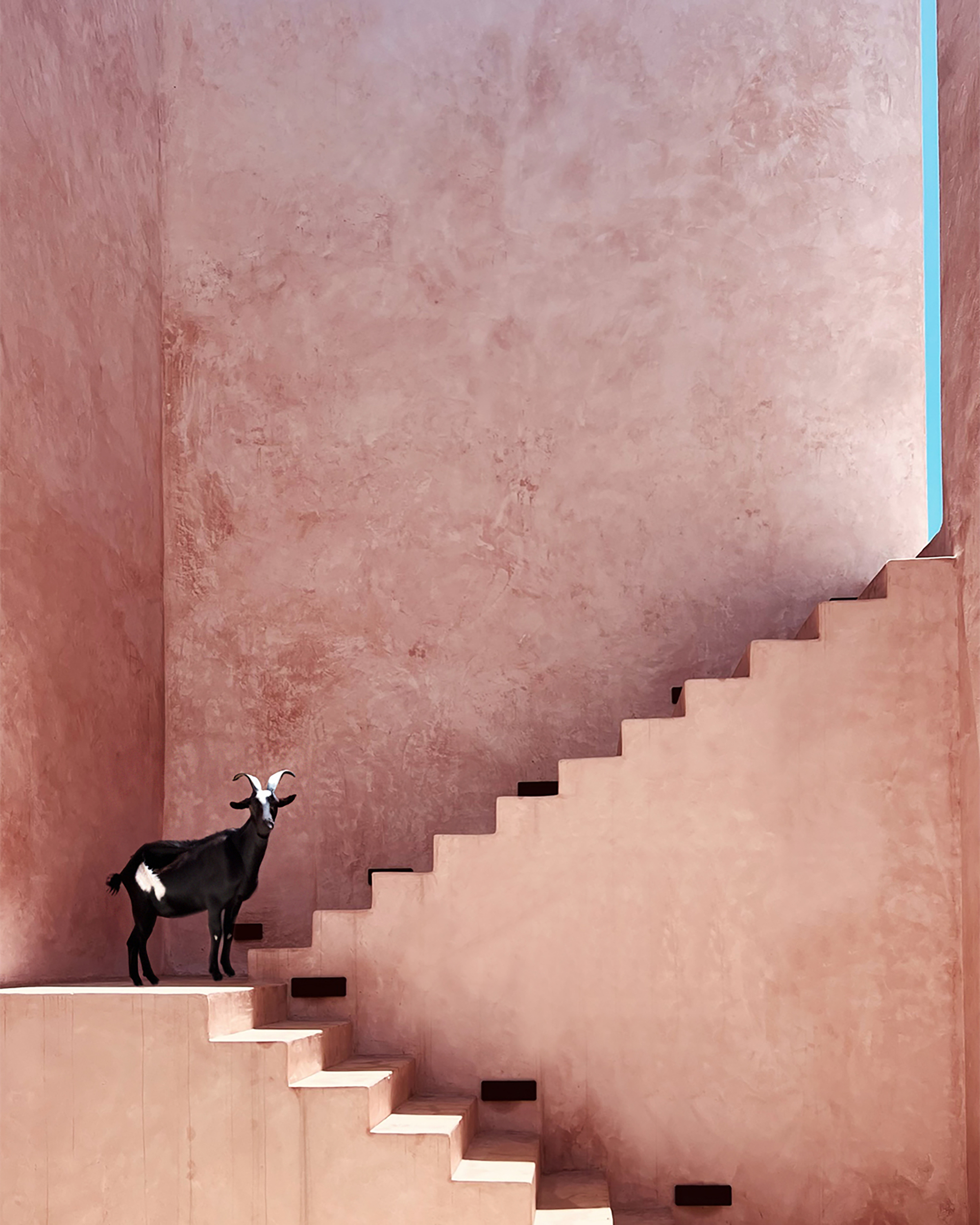 Gallery of UA House / Studio Mehta Architecture - 5