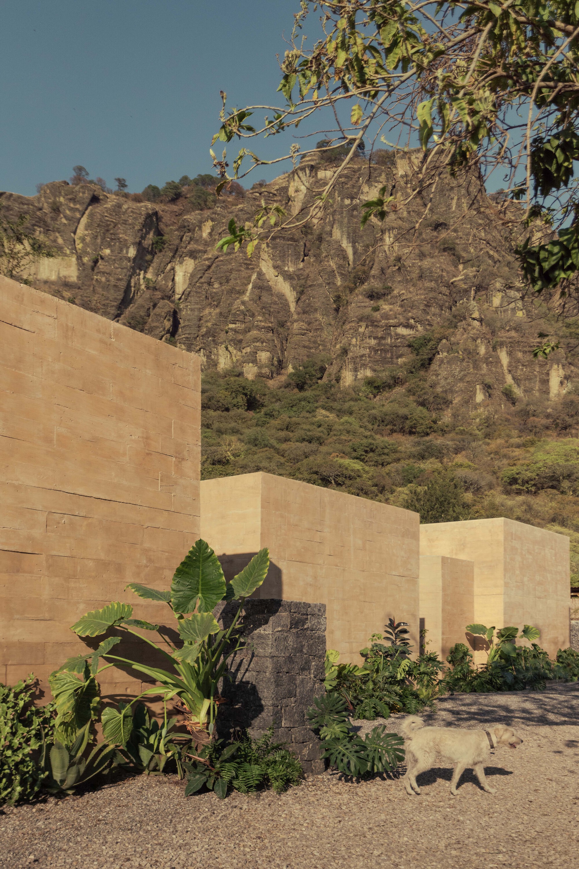 Gallery of LL House / RA! - 6