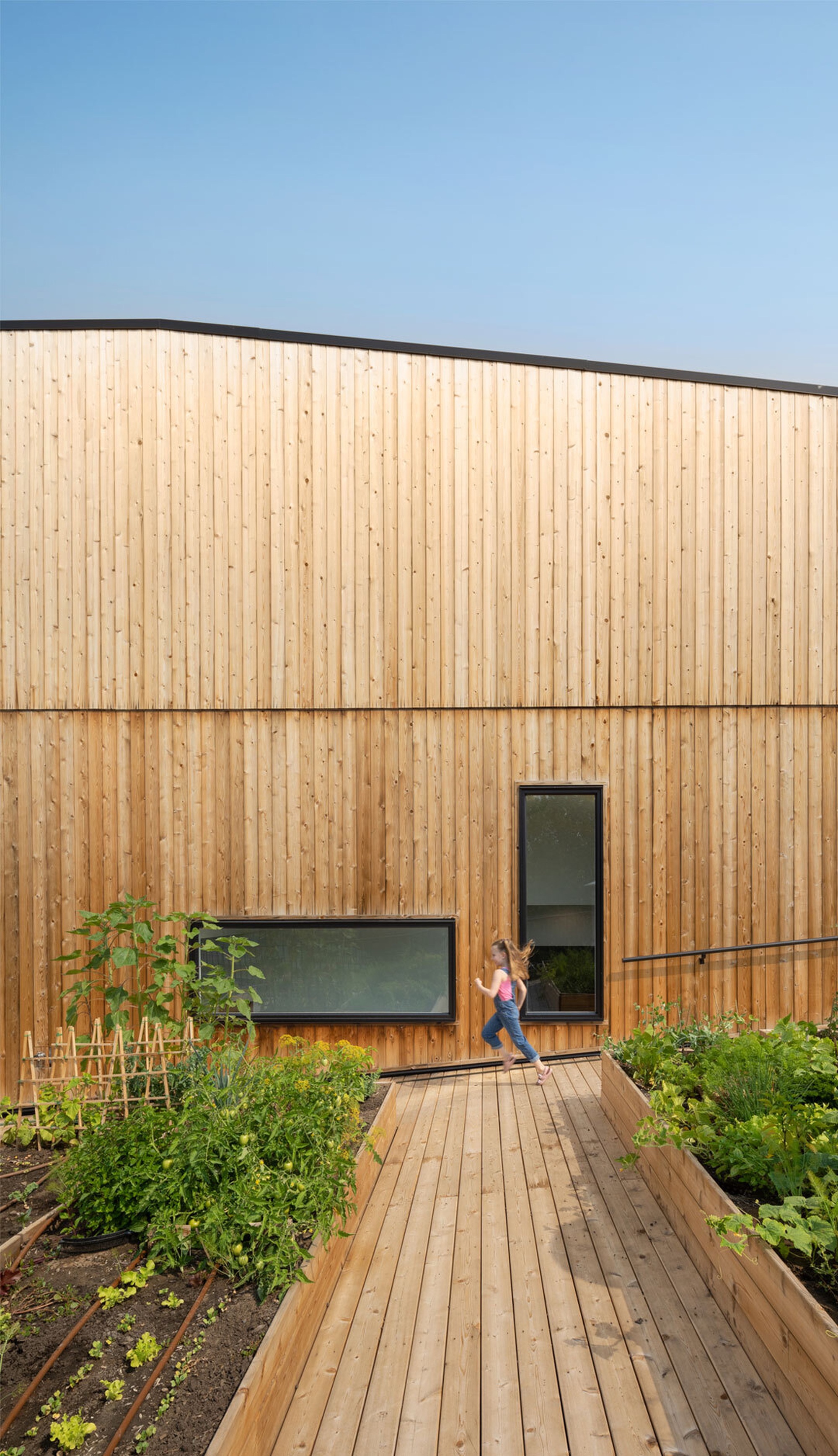 Gallery of Grow Residence / Modern Office of Design + Architecture - 11