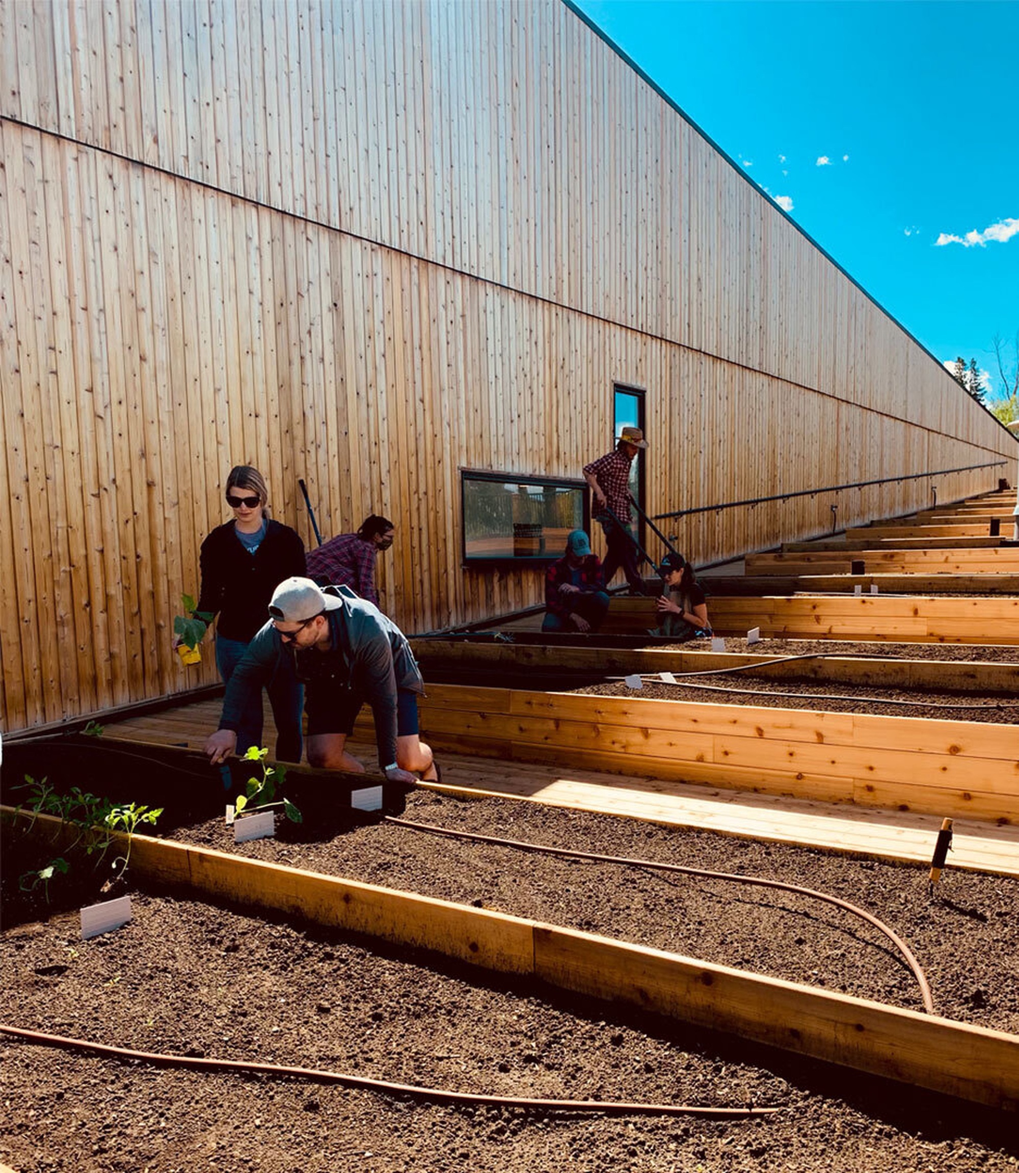 Gallery of Grow Residence / Modern Office of Design + Architecture - 23