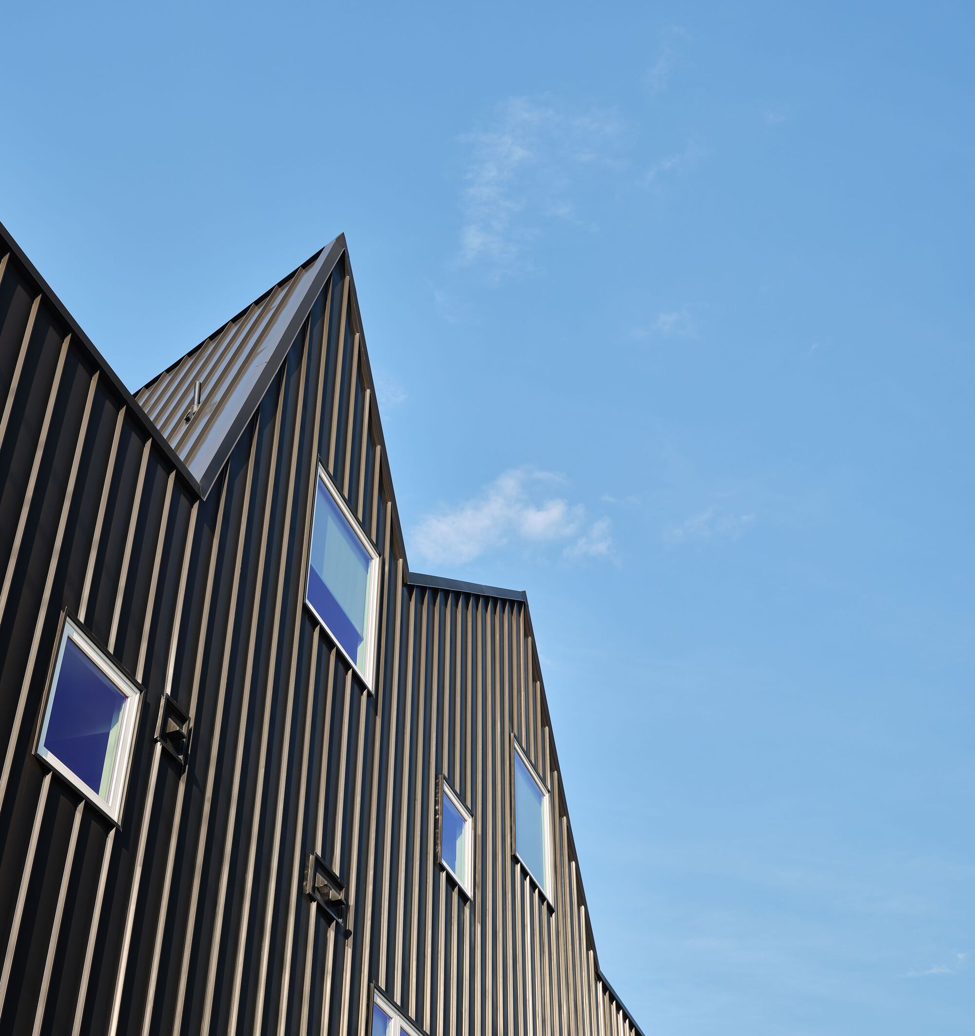 Gallery of South E8 House / Lorcan O’Herlihy Architects - 13