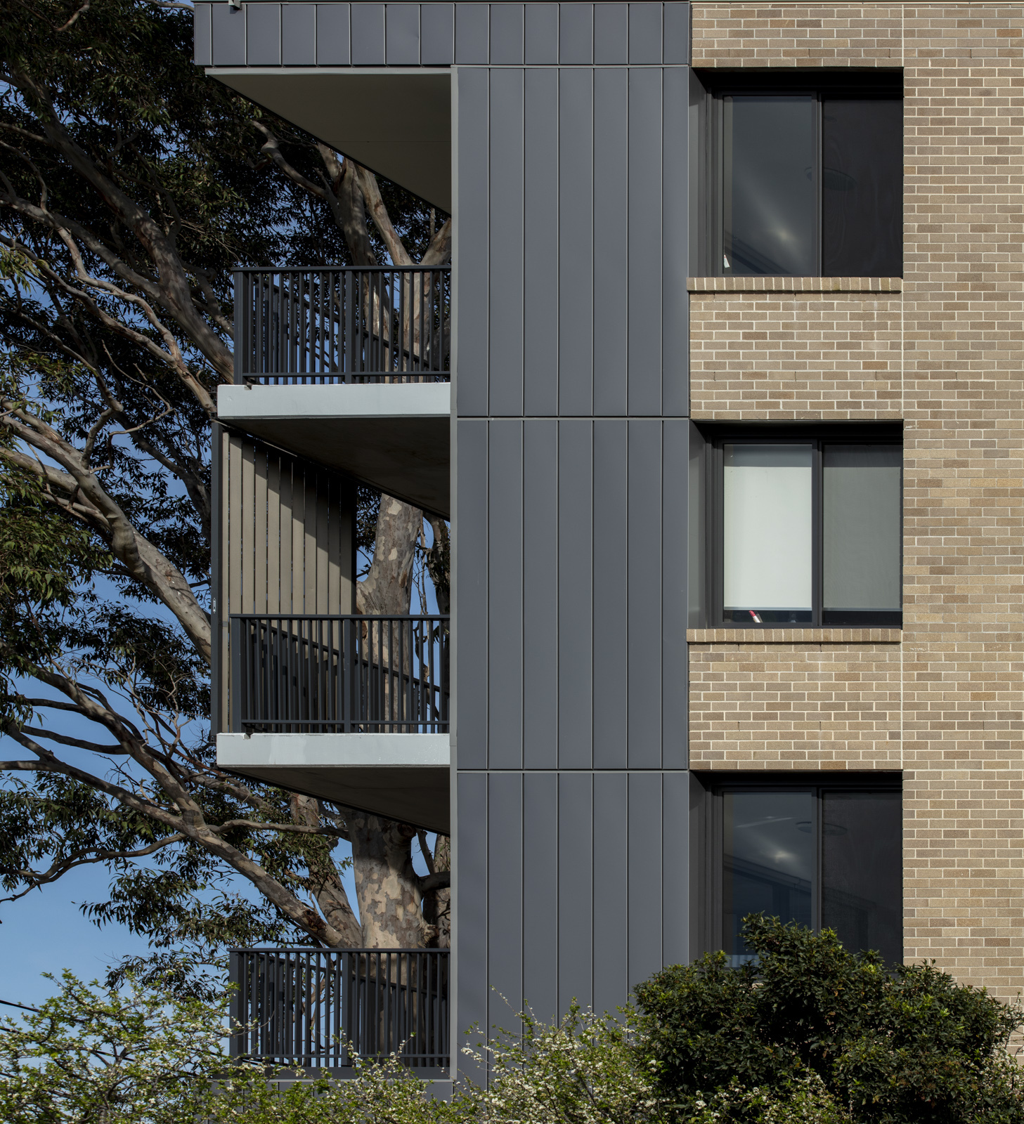 Gallery of Call for Entries: NSW Housing Pattern Book International ...