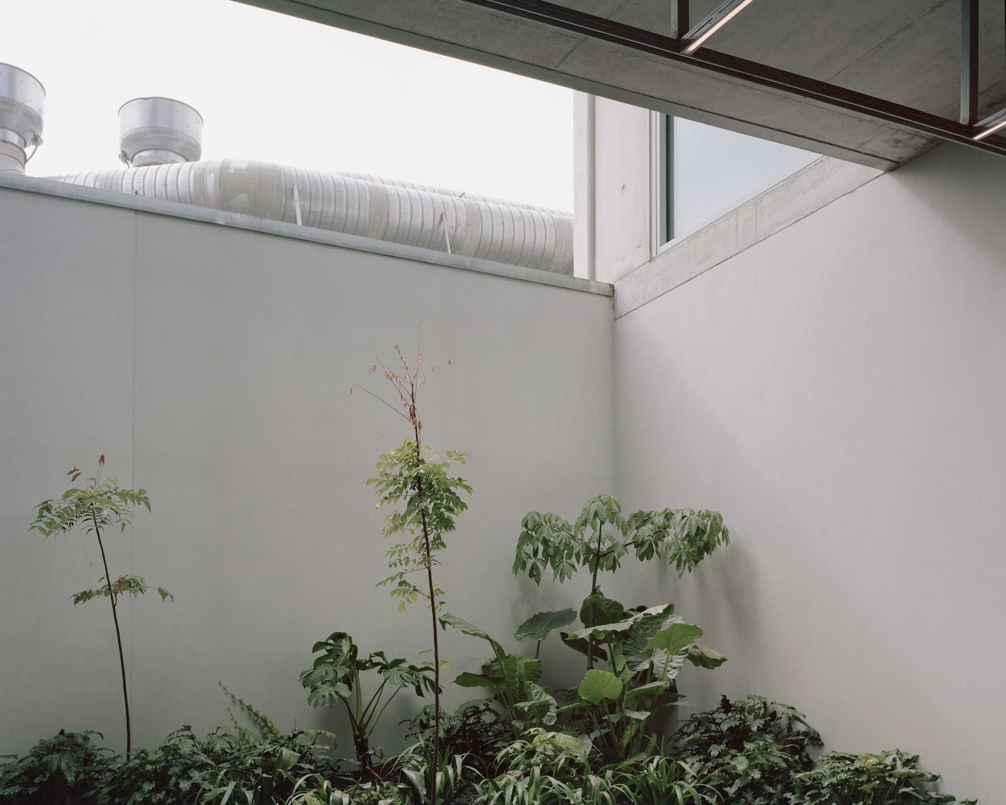 Gallery of 116 Rokeby Building / Carr - 17