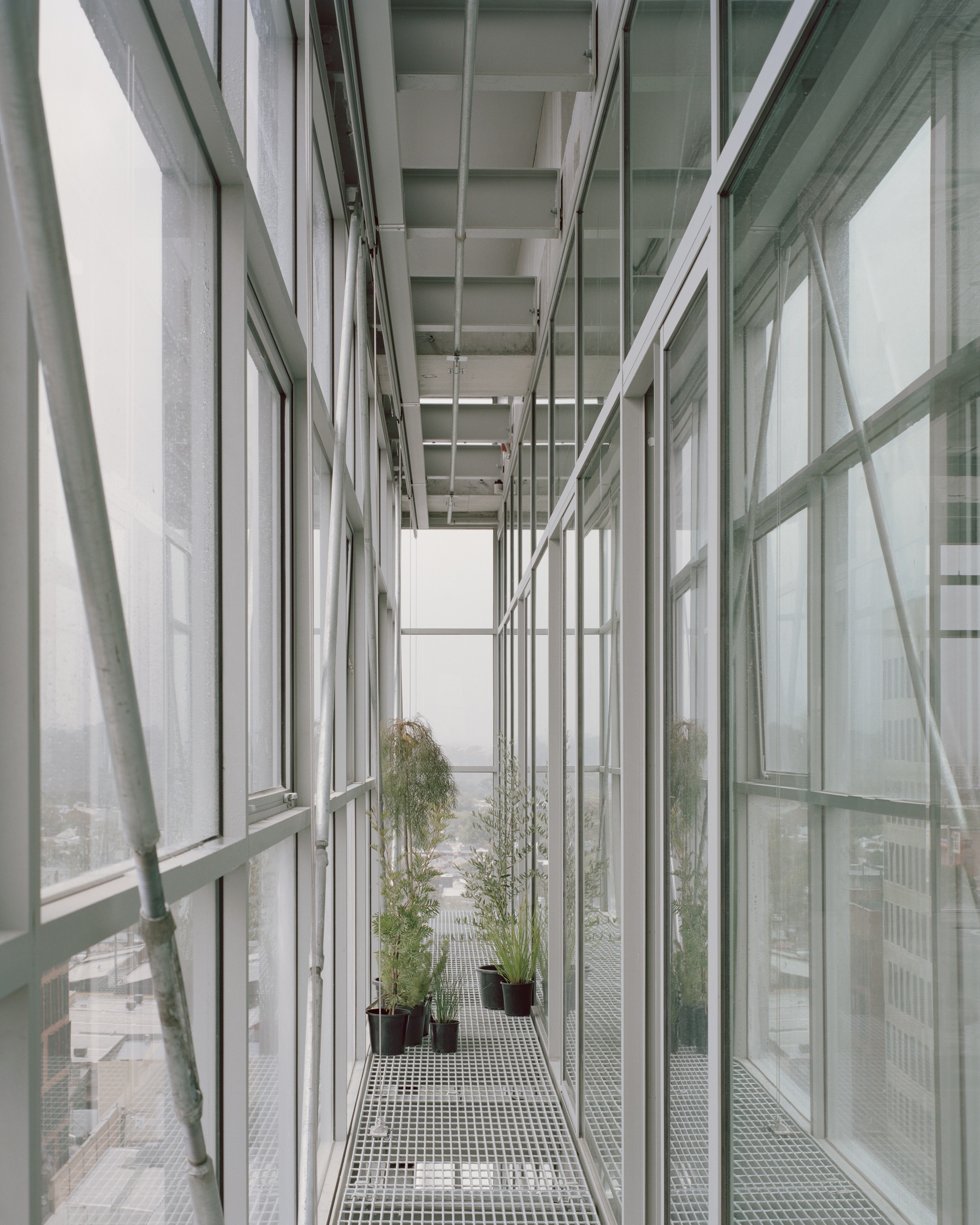 Gallery of 116 Rokeby Building / Carr - 10