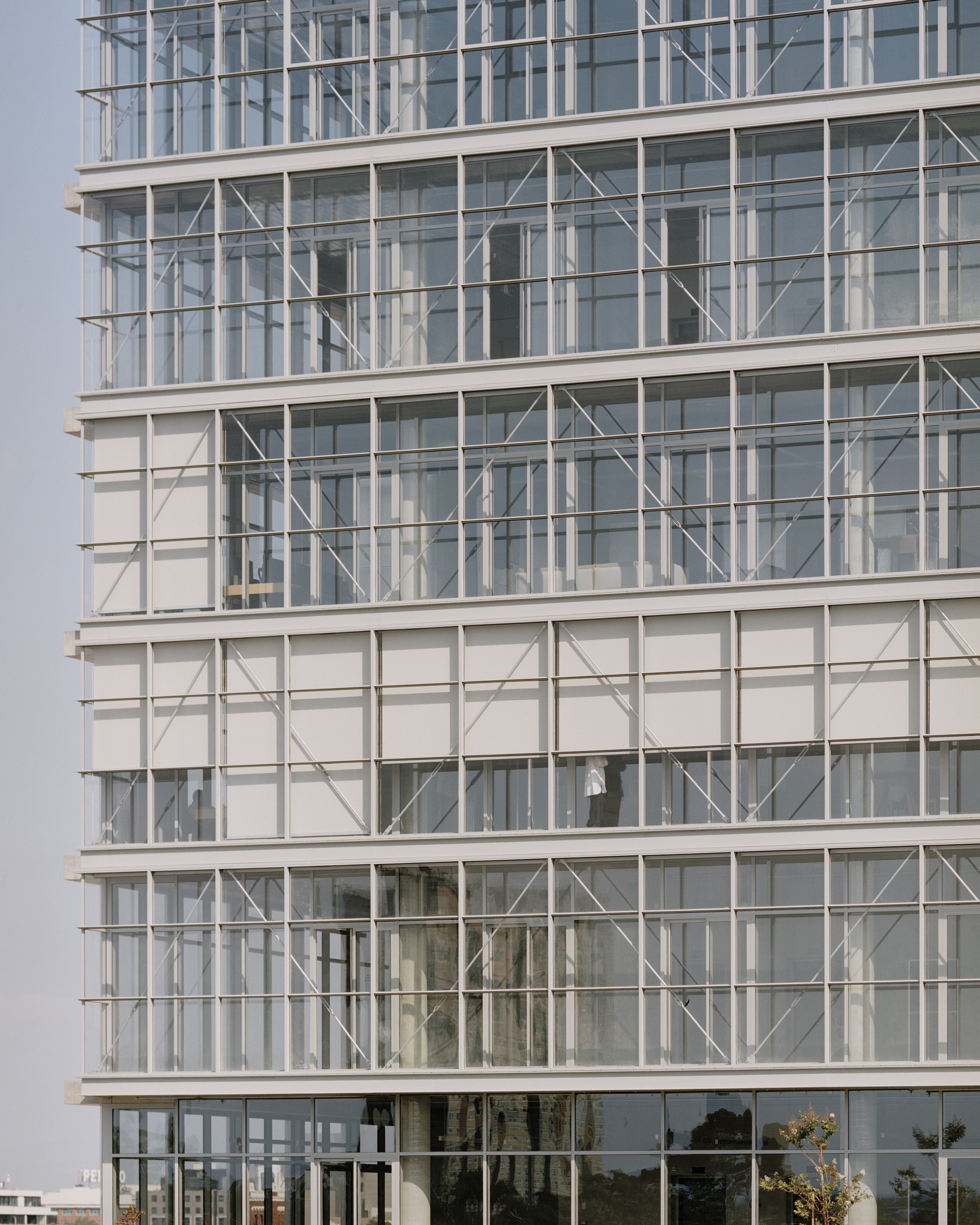 Gallery of 116 Rokeby Building / Carr - 7