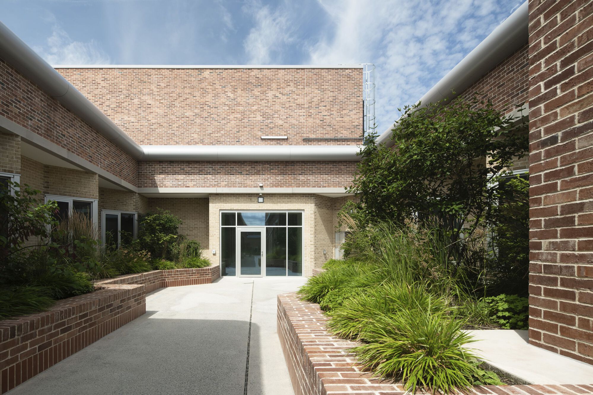 Gallery of Springfield University Hospital / C.F. Møller - 12